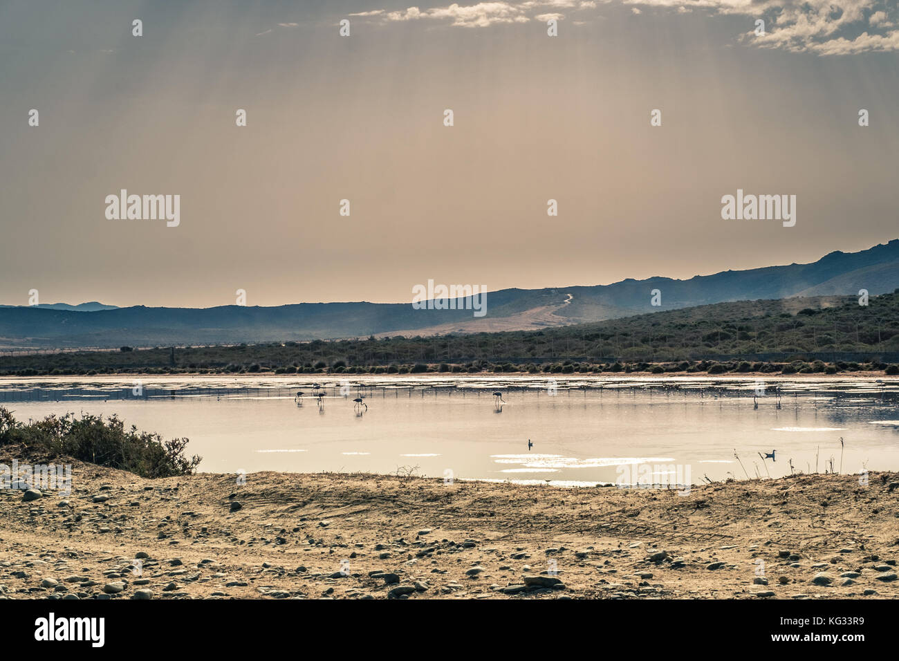 Humid area hi-res stock photography and images - Alamy