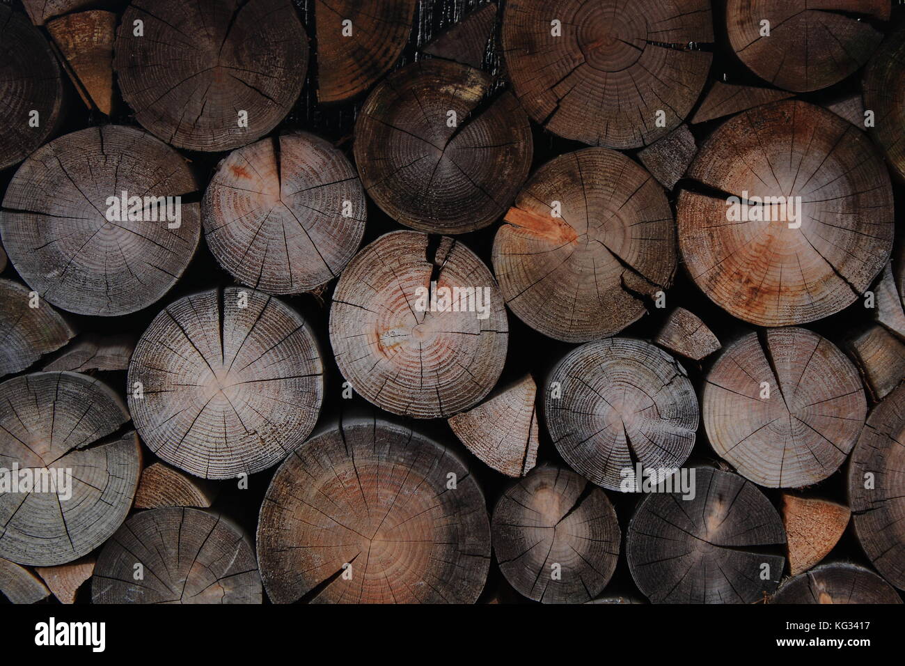 round fire wood texture background for concept vintage design Stock ...