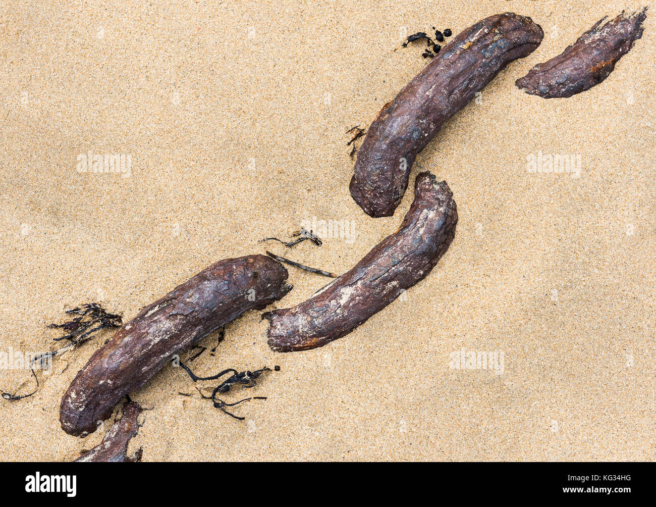 Rusty iron in sand hi-res stock photography and images - Alamy