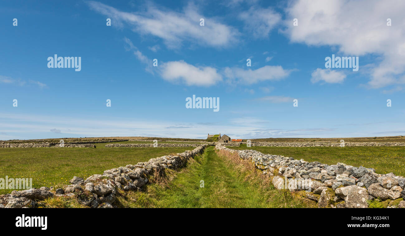 Cornish landscape with old farm, meadows and stone walls on a summers ...