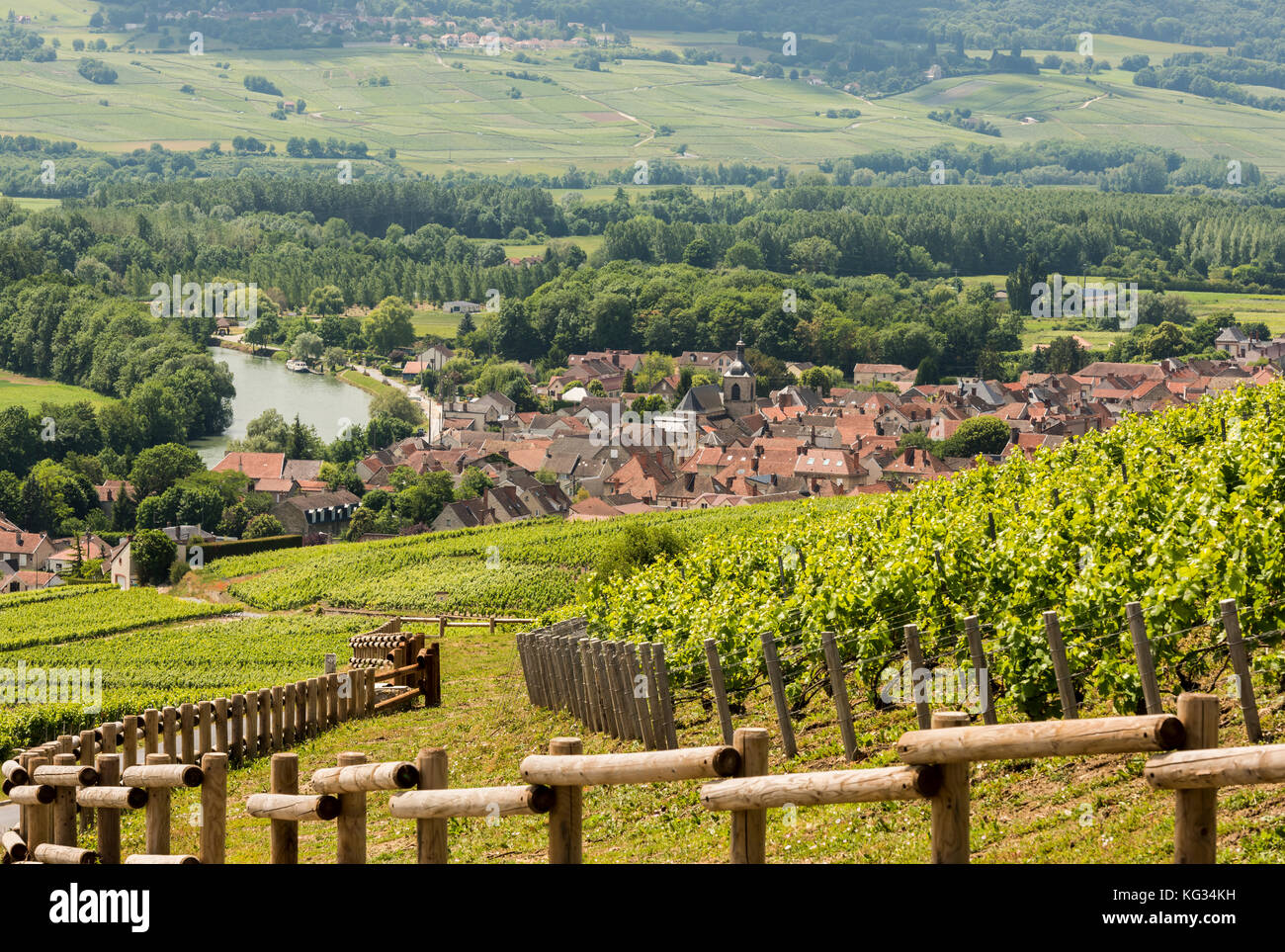 Champagne moet vineyard france hi-res stock photography and images - Alamy
