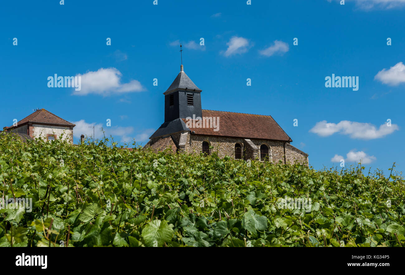 The church of Mutigny in Champagen-Ardenne with Champagne vineyards in ...