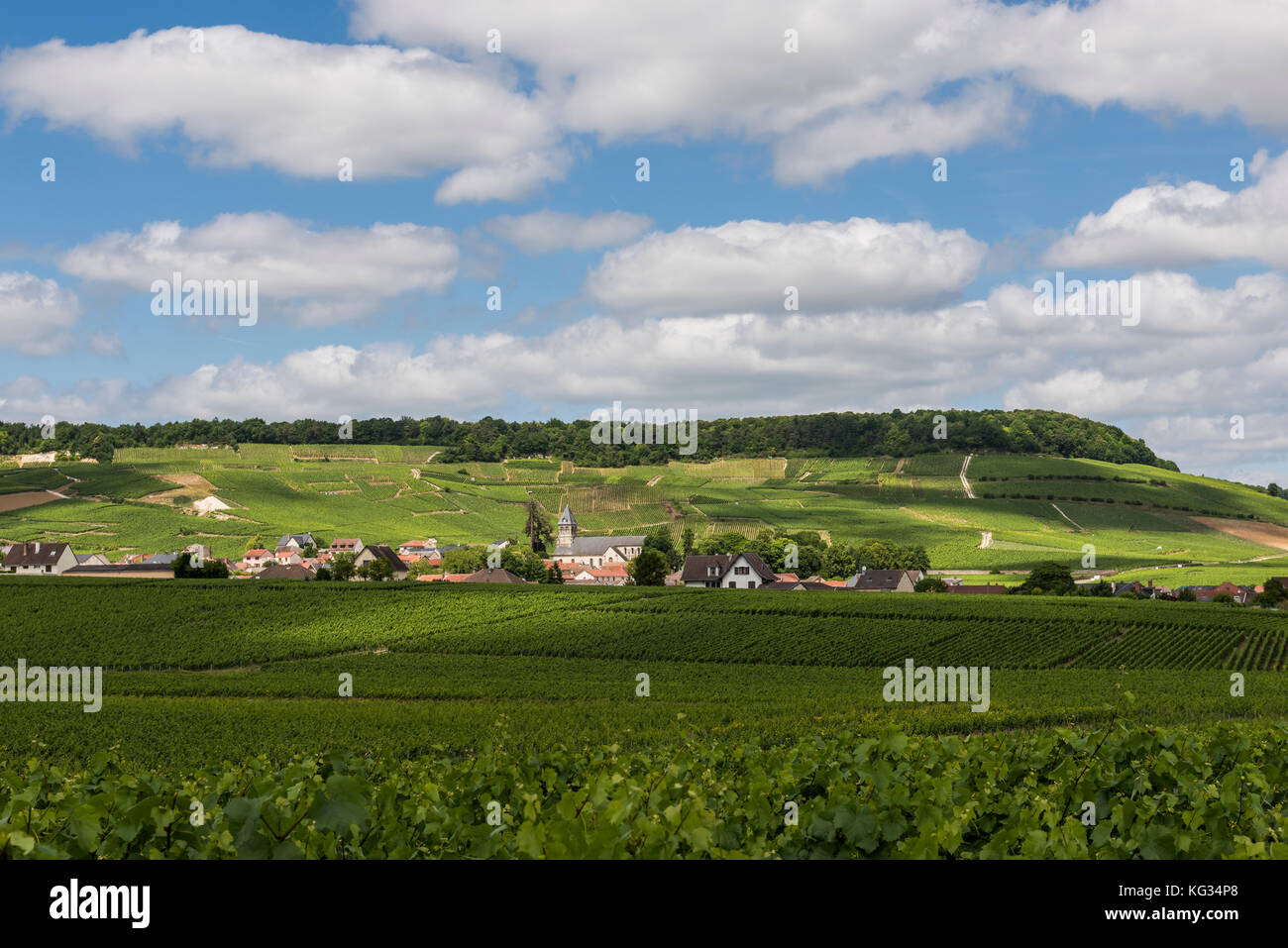Avize and france hi-res stock photography and images - Alamy