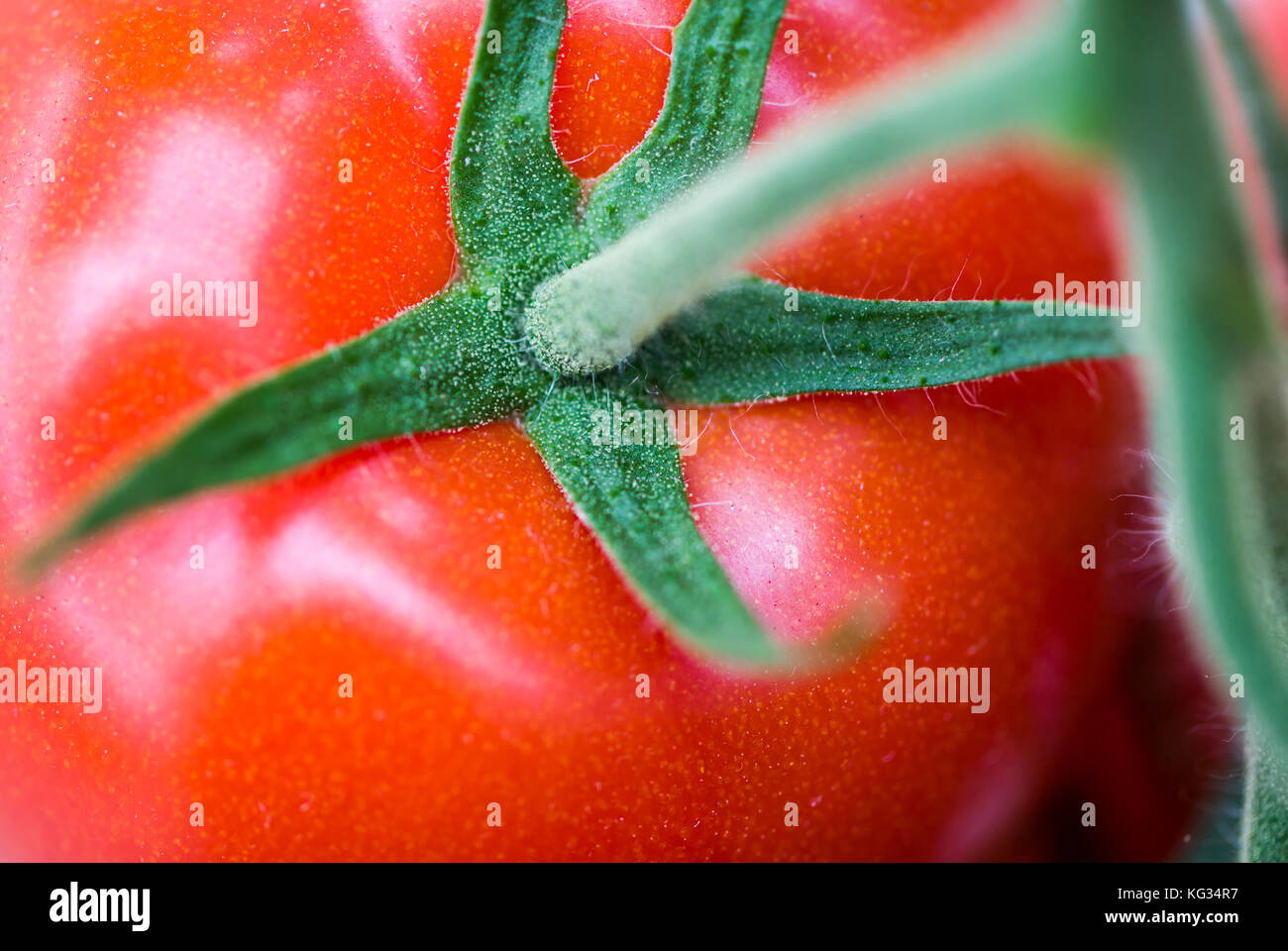 Detailof red tomato Stock Photo - Alamy