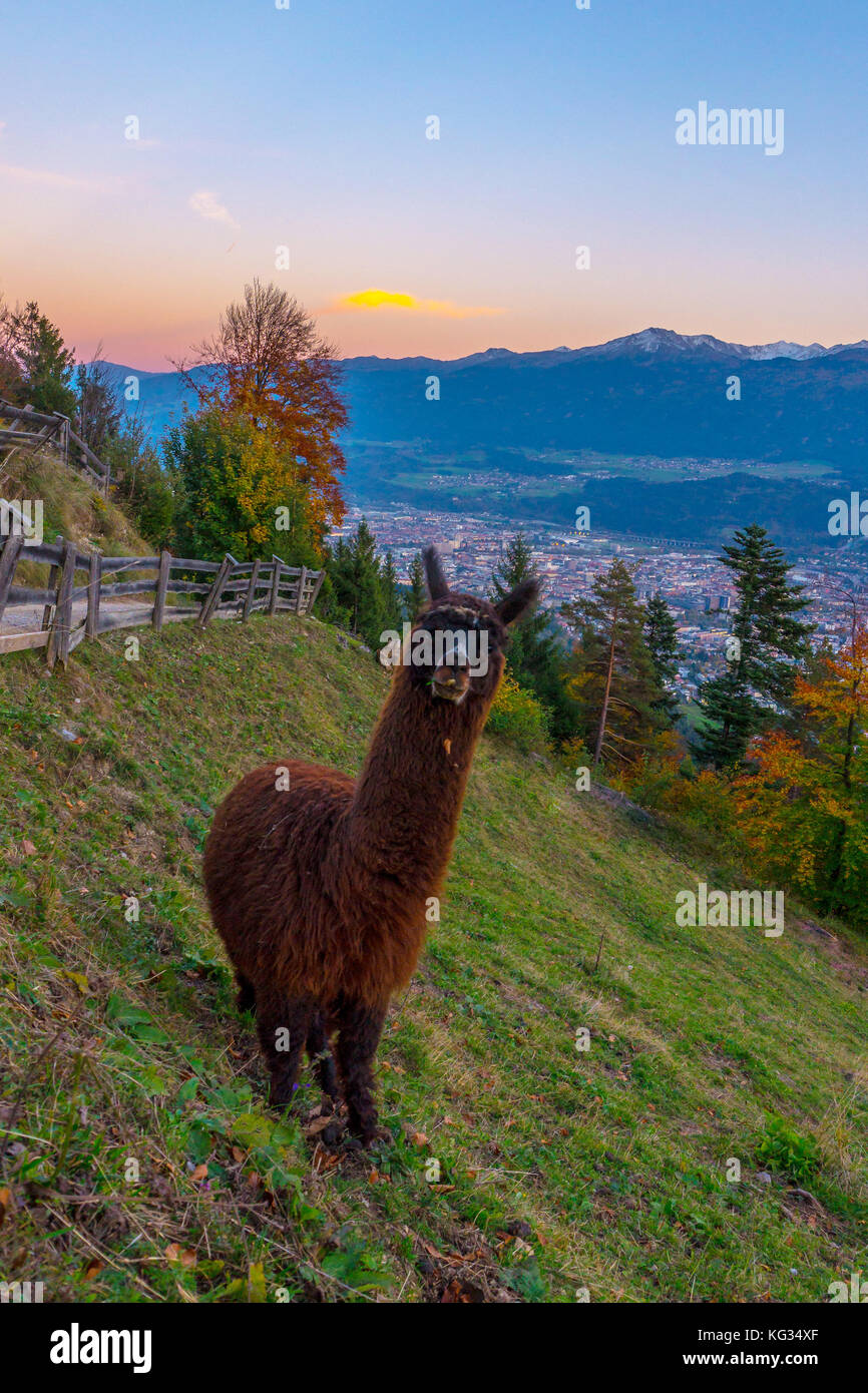 Alpslandscape hi-res stock photography and images - Alamy