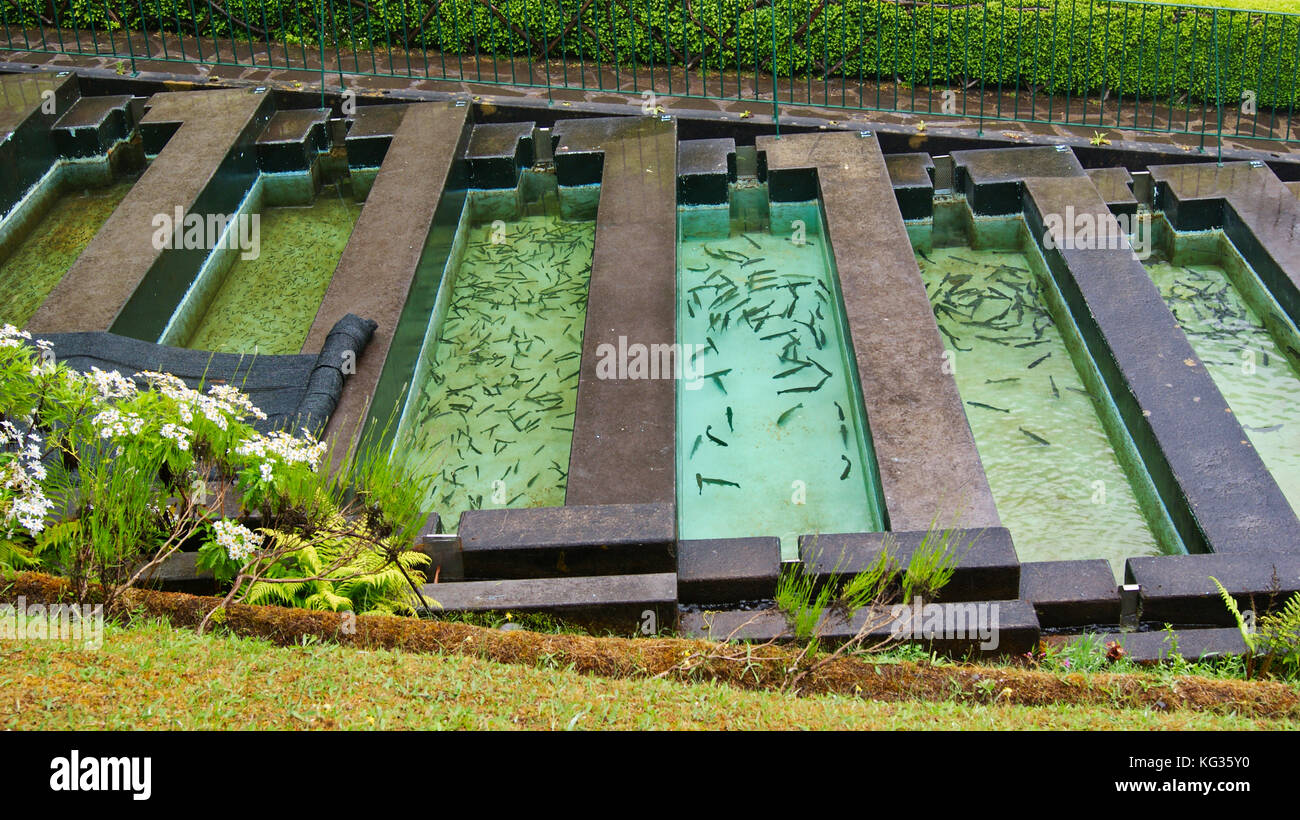 Smal fish sheds on Madeira Island. Fish farming Stock Photo - Alamy