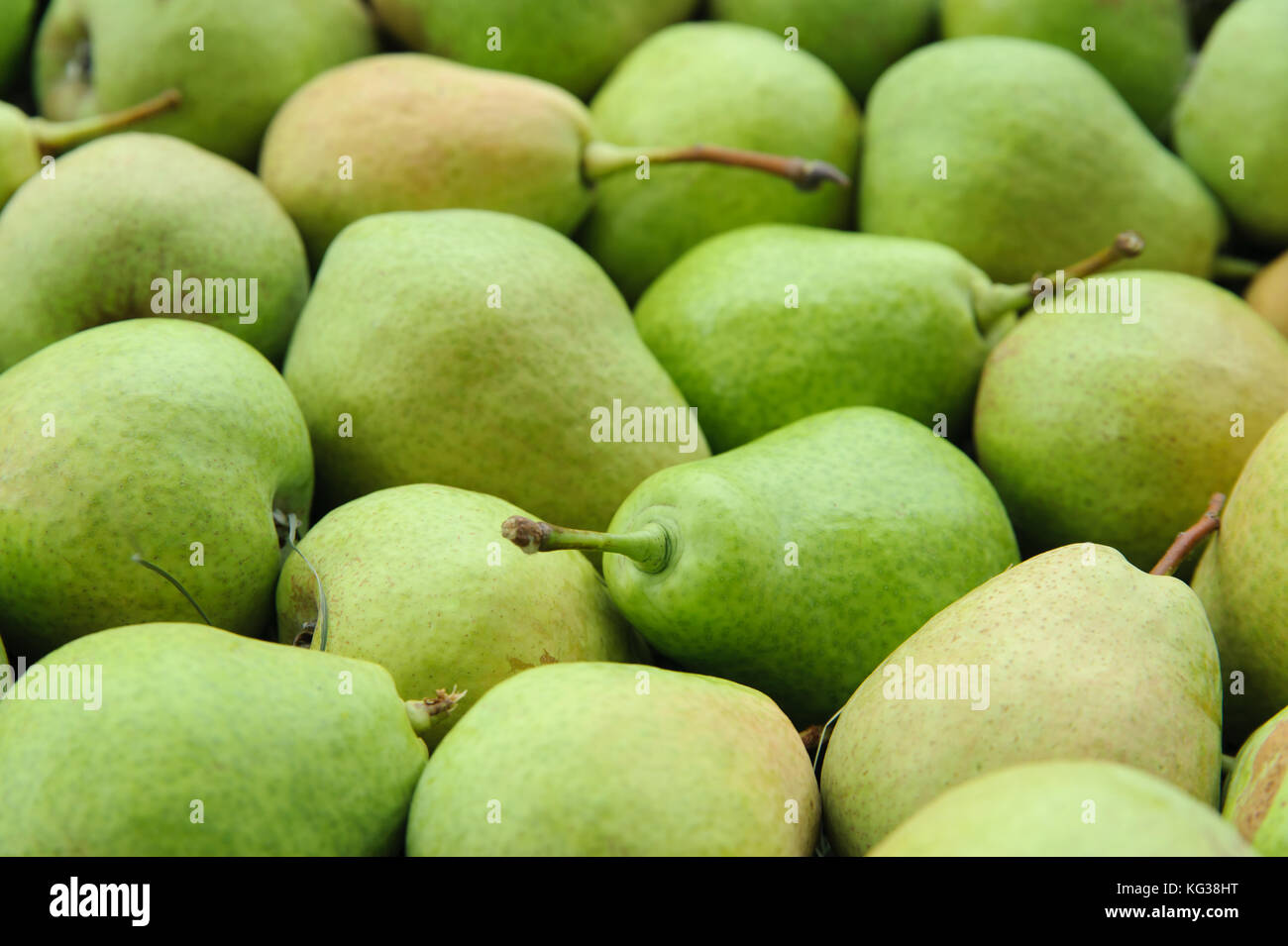 Lots of green pears for fruit background Stock Photo - Alamy