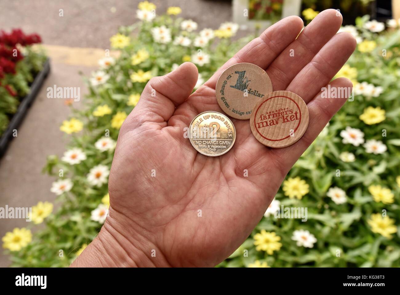 Local currency/coins used for money exchange, year round Ann Arbor ...