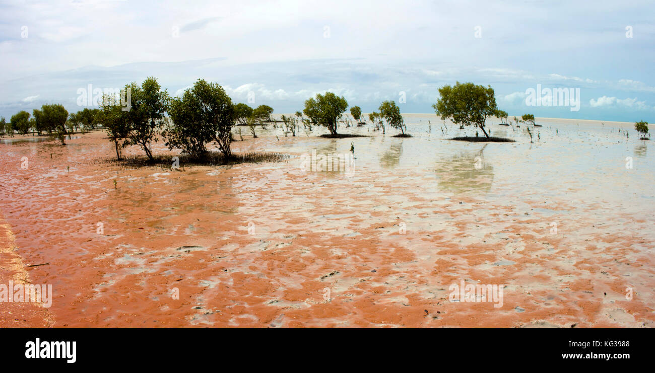 Roebuck bay north western australia hi-res stock photography and images ...