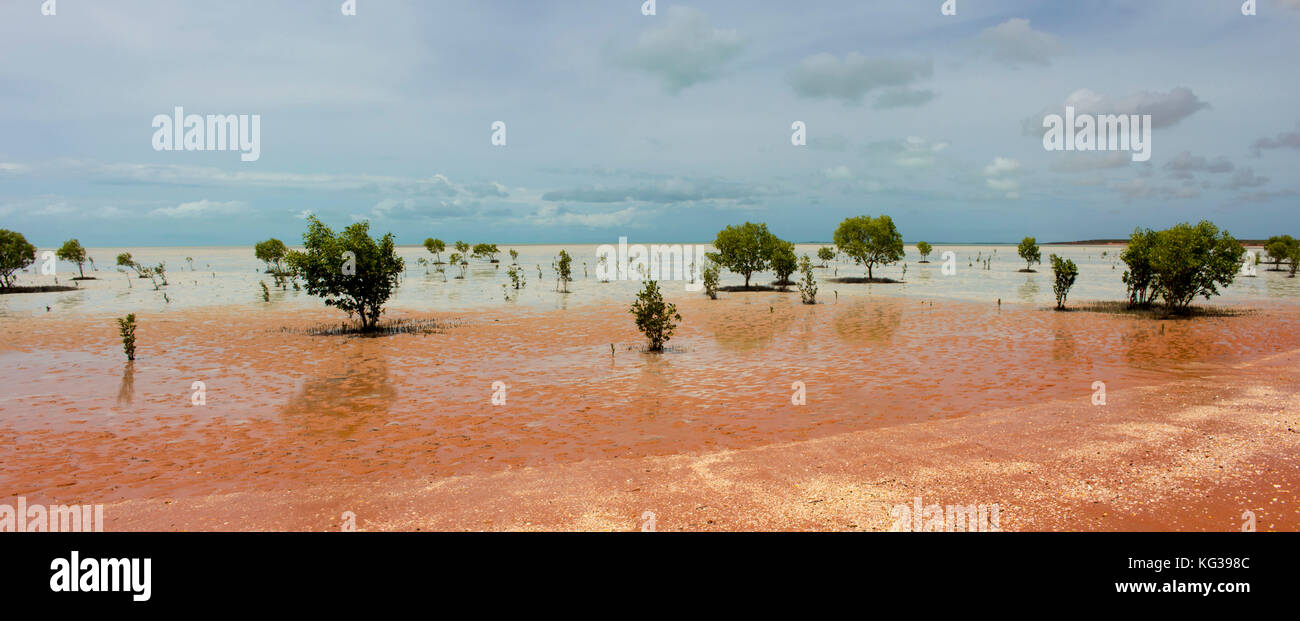Roebuck Bay, Broome, North Western Australia with huge tidal flows ...