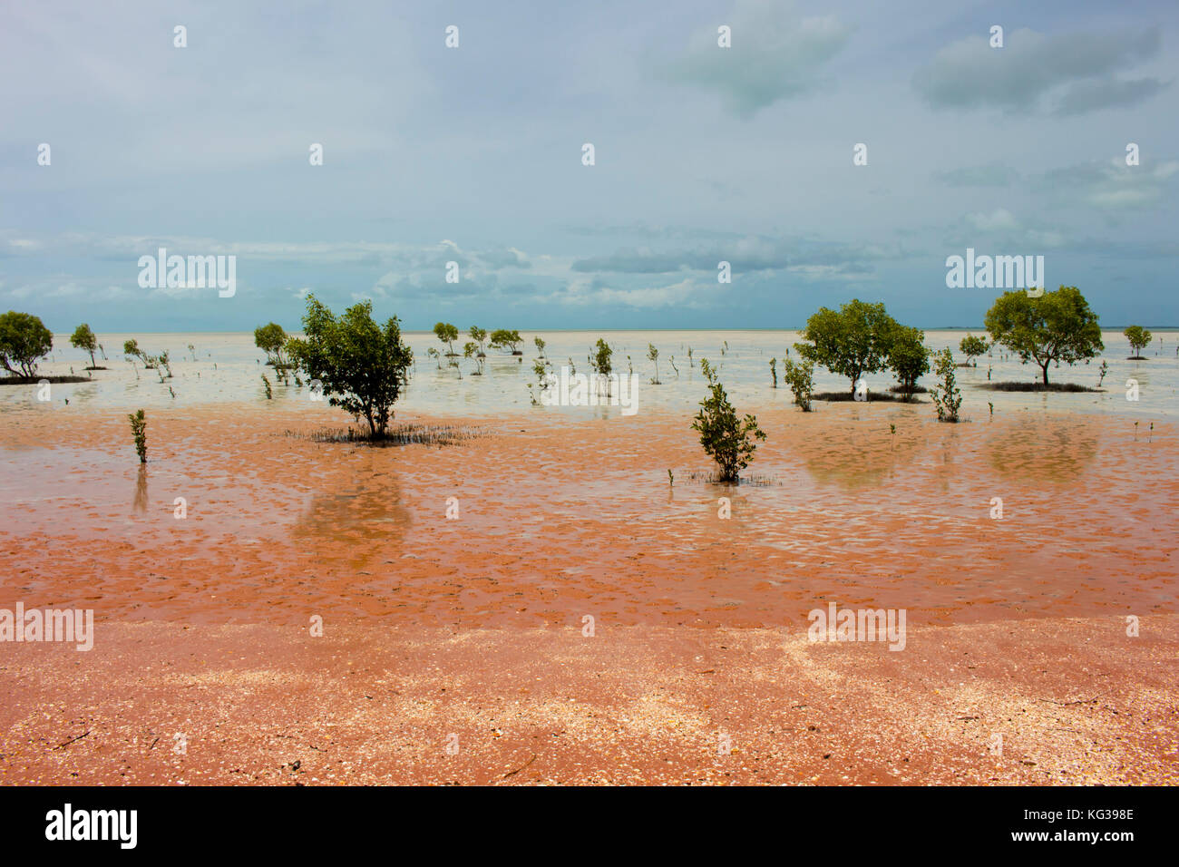 Roebuck Bay landscape in Broome , North Western Australia with mudflats ...