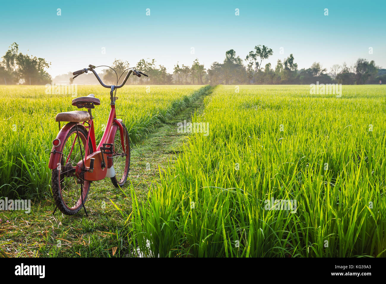 A photo of red bicycle with rural view background in the morning Stock ...