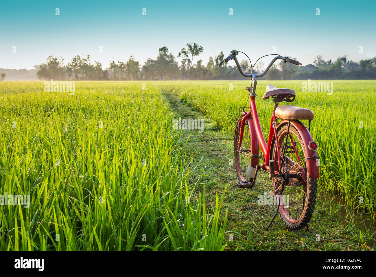 A photo of red bicycle with rural view background in the morning Stock ...