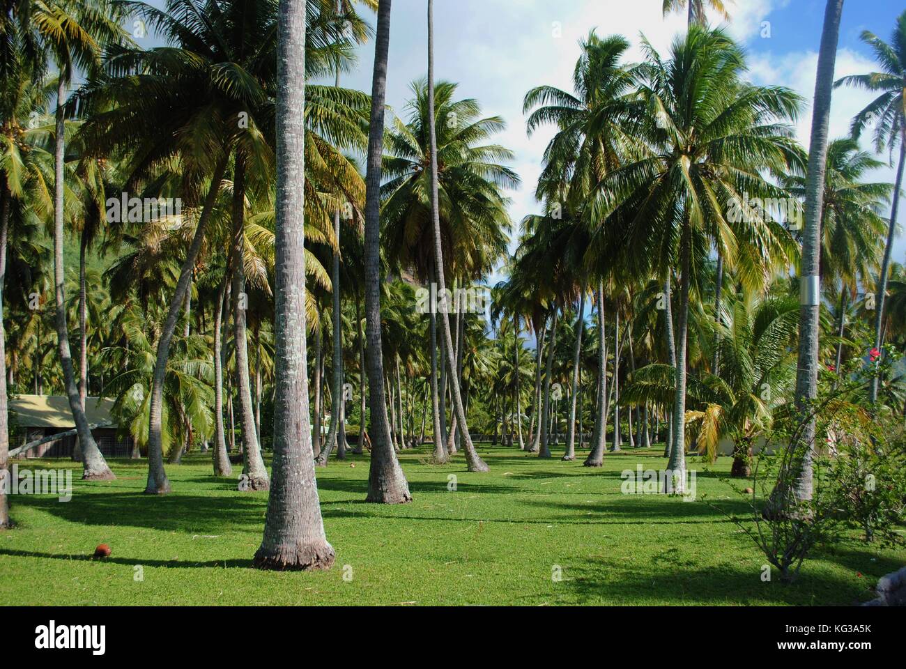 Moorea French Polynesia Stock Photo - Alamy