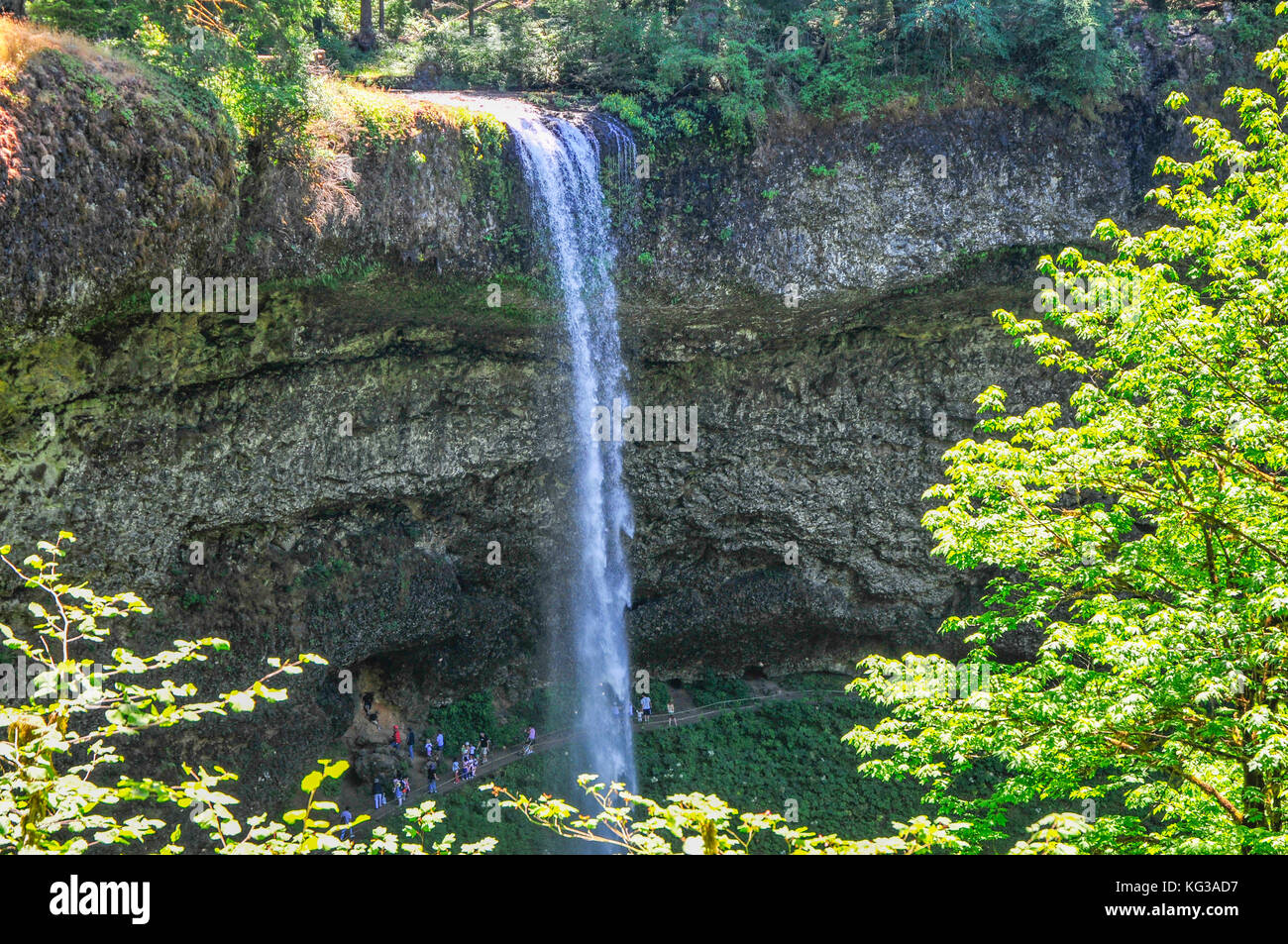 Silver Falls State Park, Oregon, USA (Lower Falls Stock Photo - Alamy