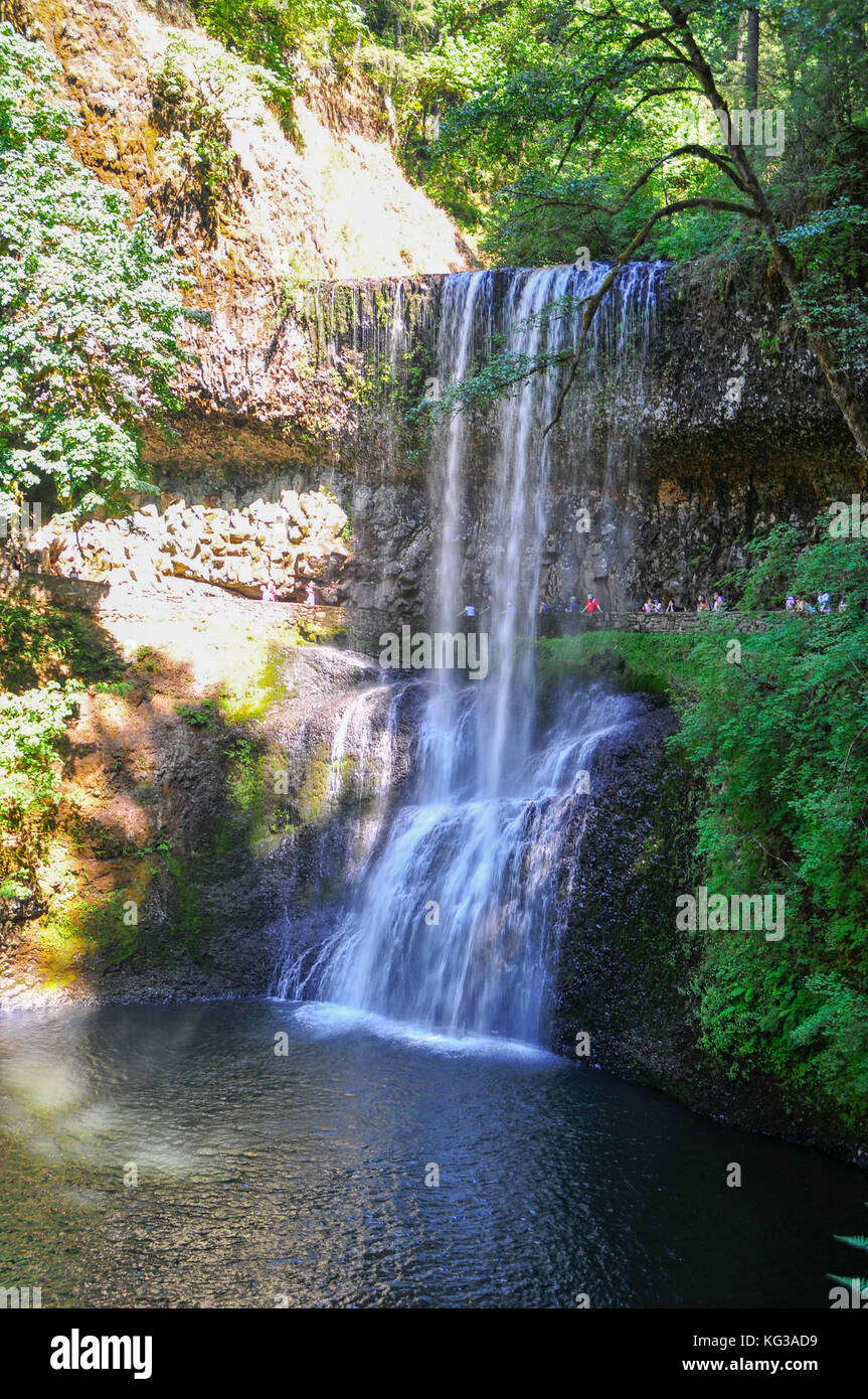 Silver Falls State Park, Oregon, USA (Lower Falls Stock Photo - Alamy