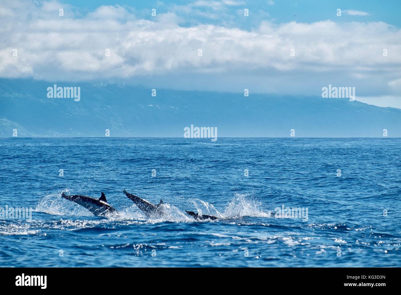 Three deep formation hi-res stock photography and images - Alamy