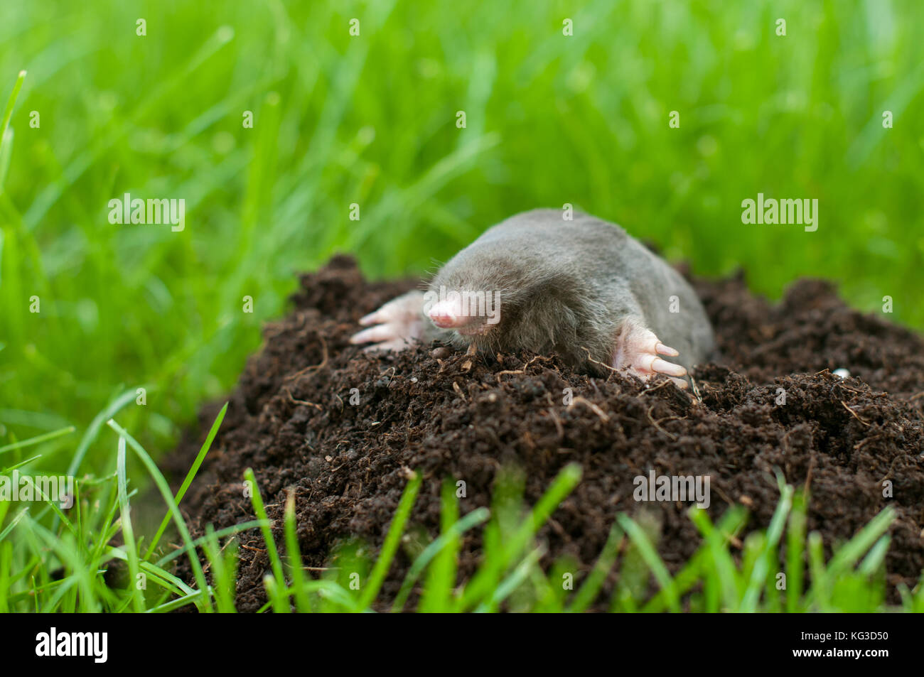 Heap of soil hi-res stock photography and images - Alamy