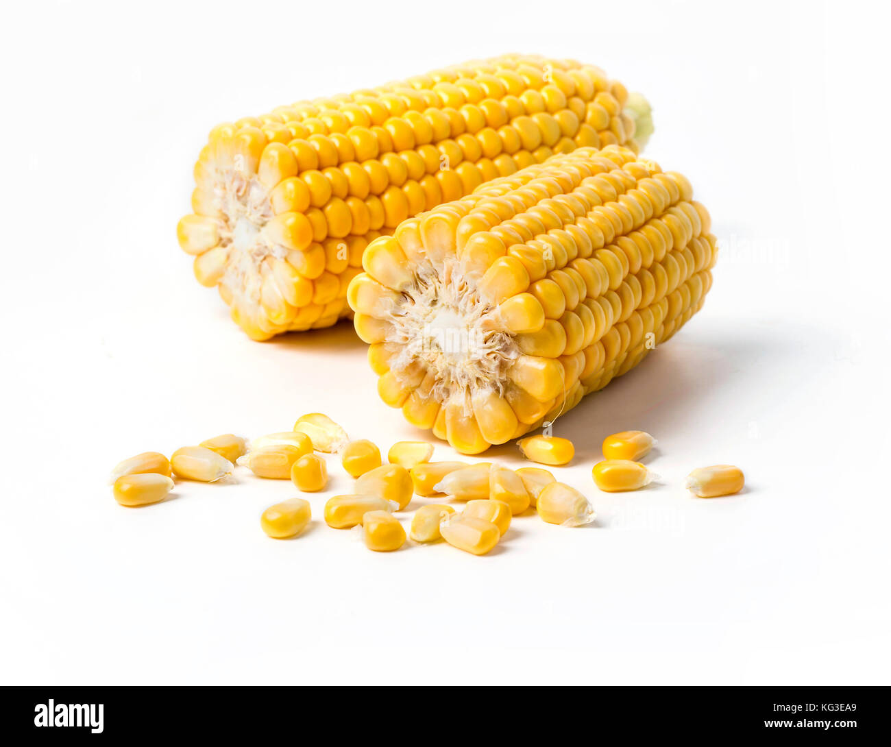 Corn on the cob kernels isolated on white background Stock Photo - Alamy
