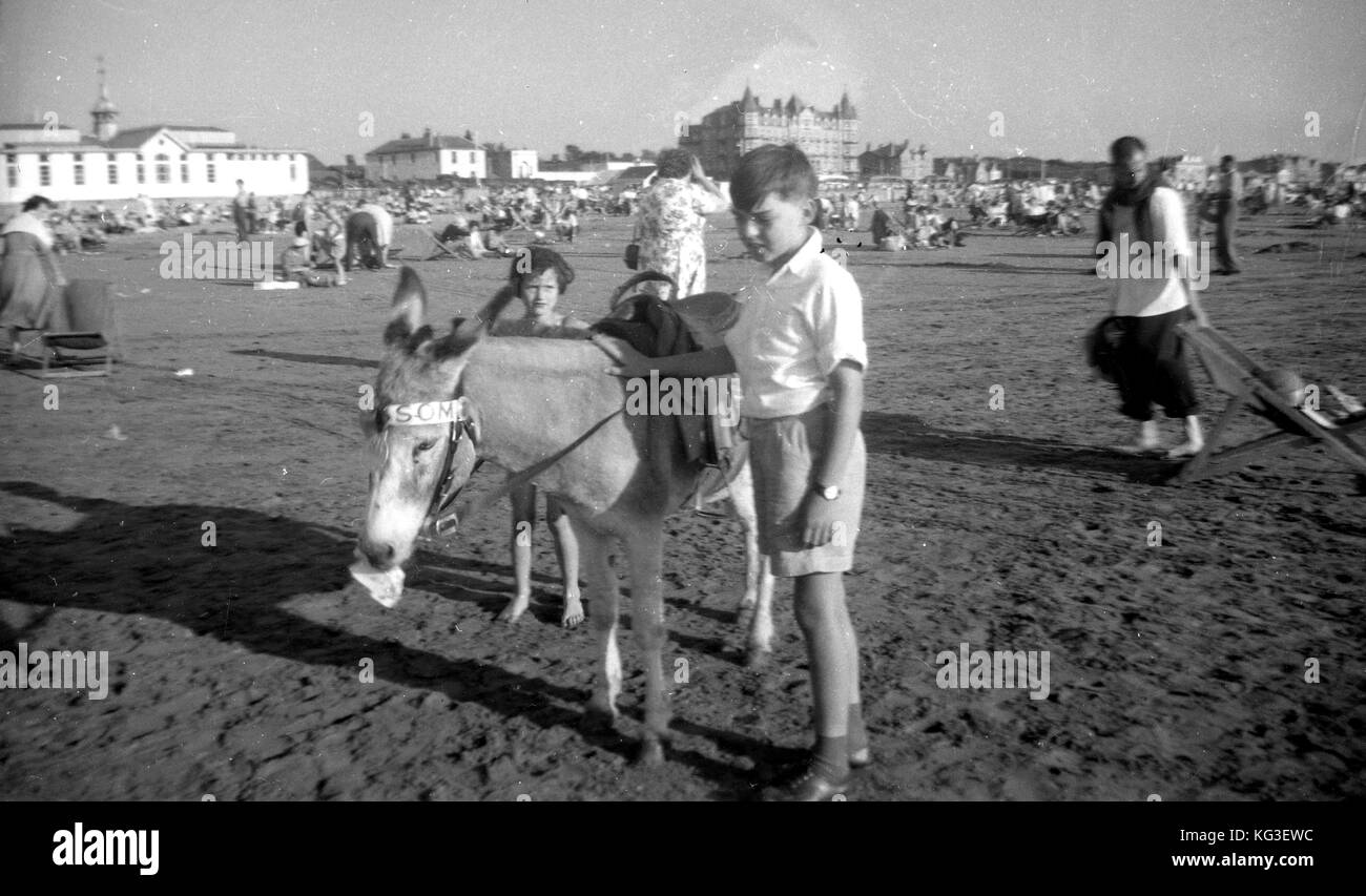 Donkey Uk History High Resolution Stock Photography and Images - Alamy