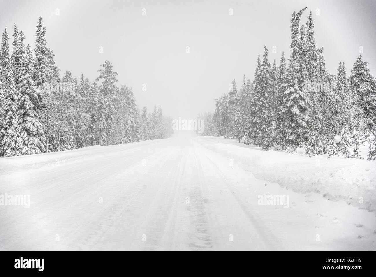 Frosty adventure hi-res stock photography and images - Alamy