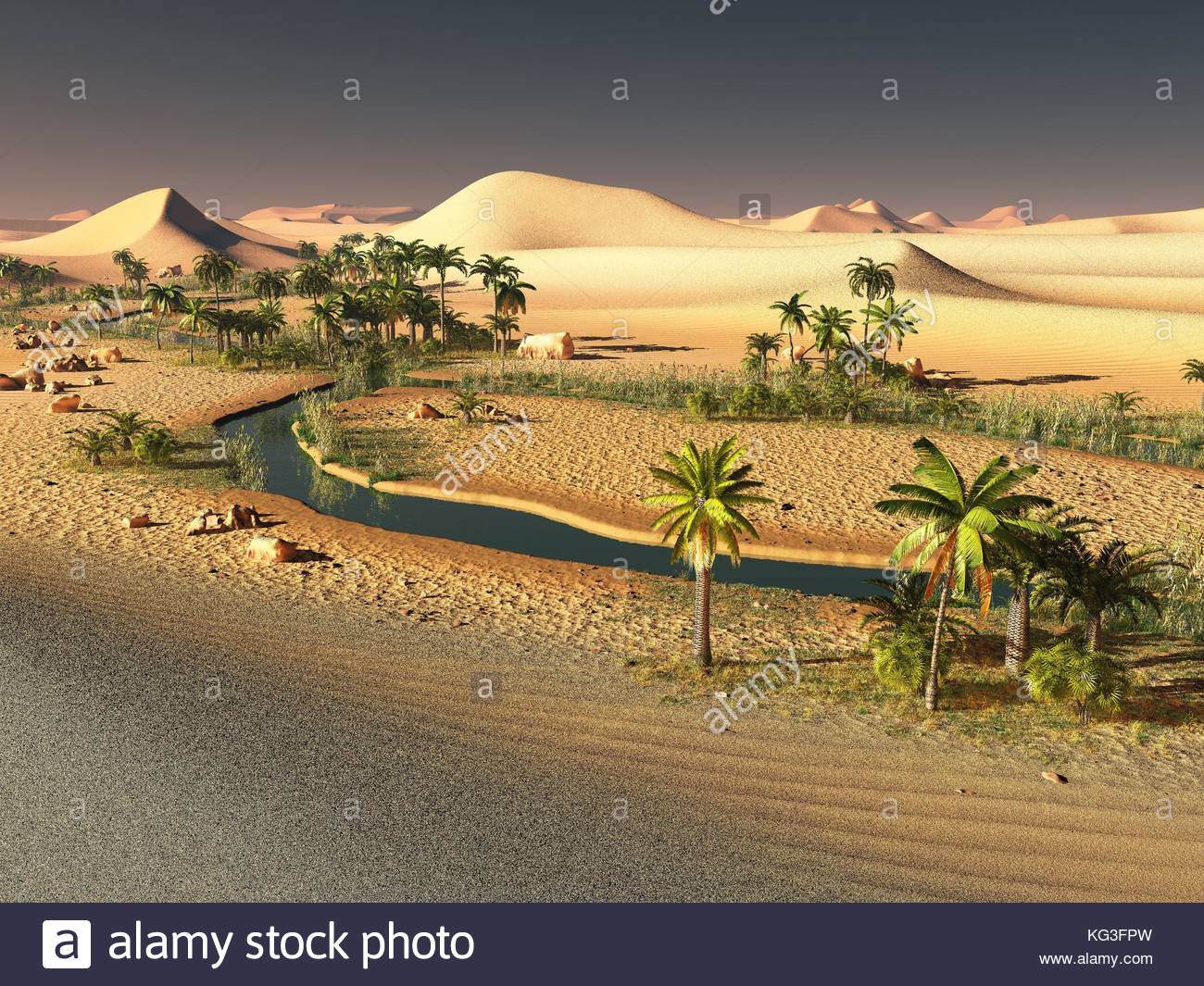 Saudi Arabia Desert Oasis Stock Photos & Saudi Arabia Desert Oasis ...