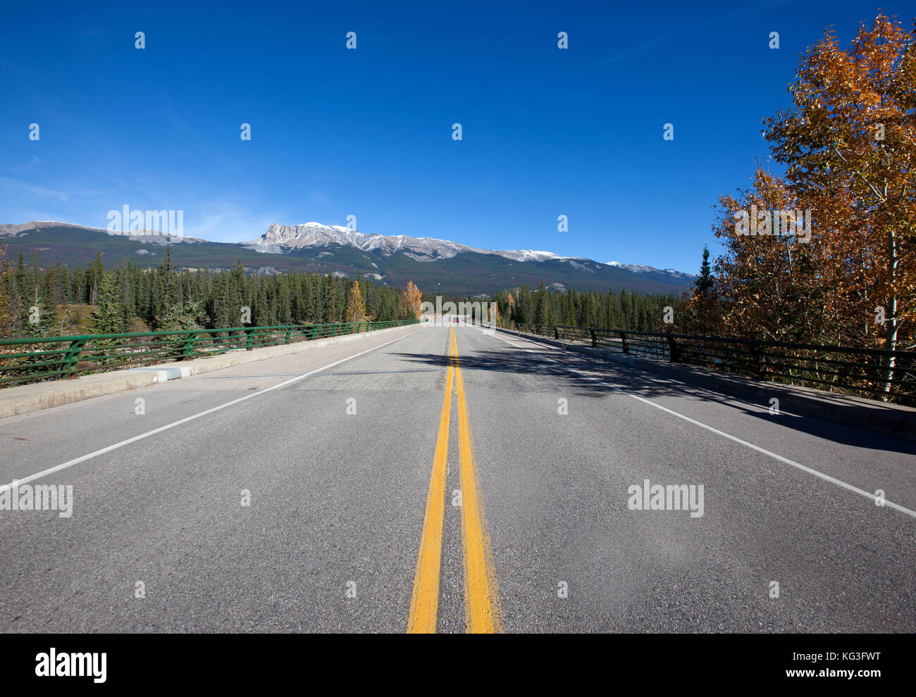 an overpass over the Athabasca River in the Canadian Rocky mountains ...