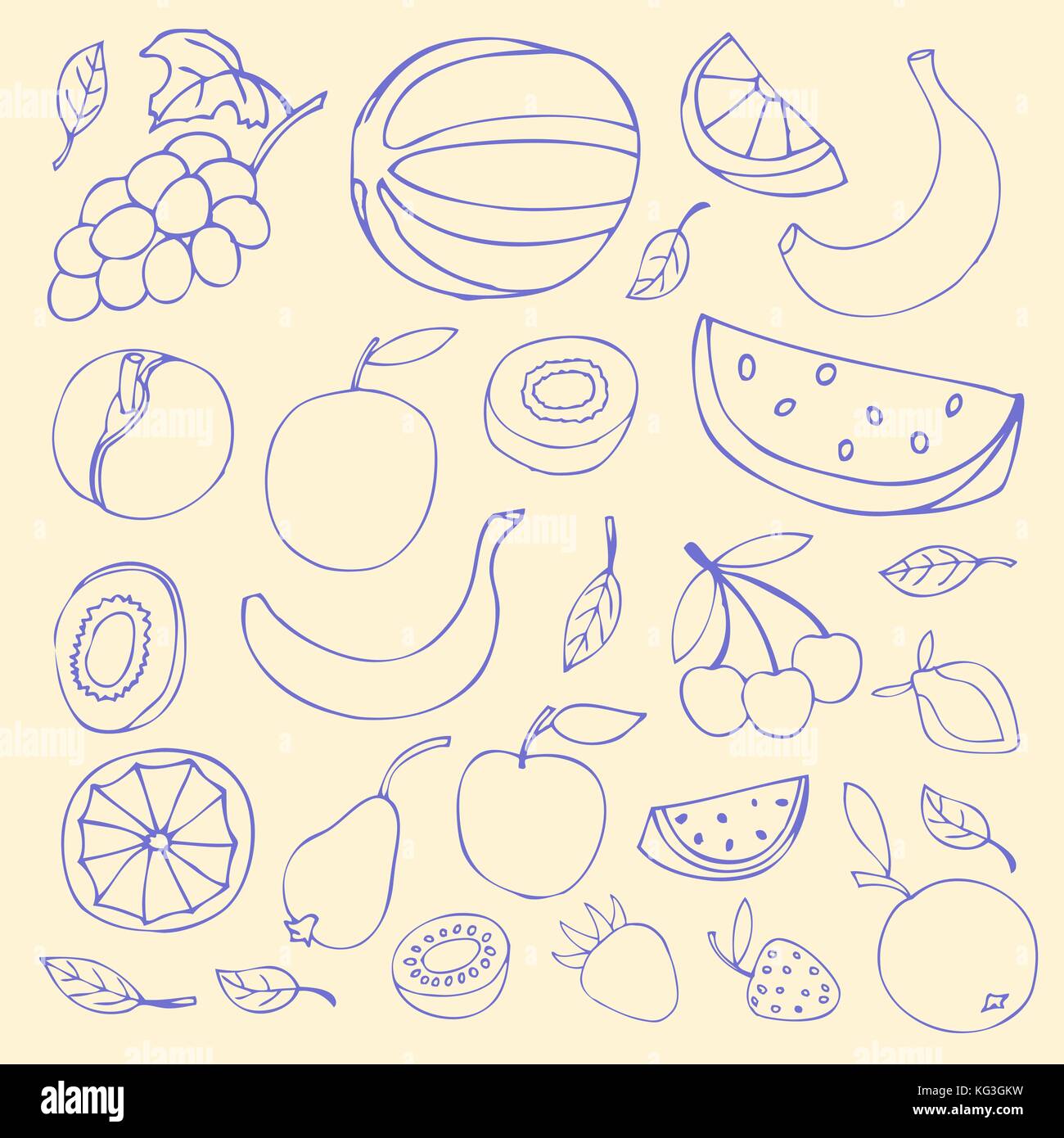 Set Sketches of fruit isolated, vector illustration Stock Vector Image ...