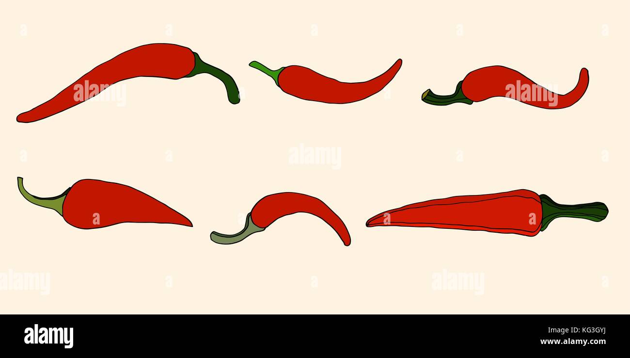 Set of Peppers, vector illustration. Isolated on white Stock Vector ...