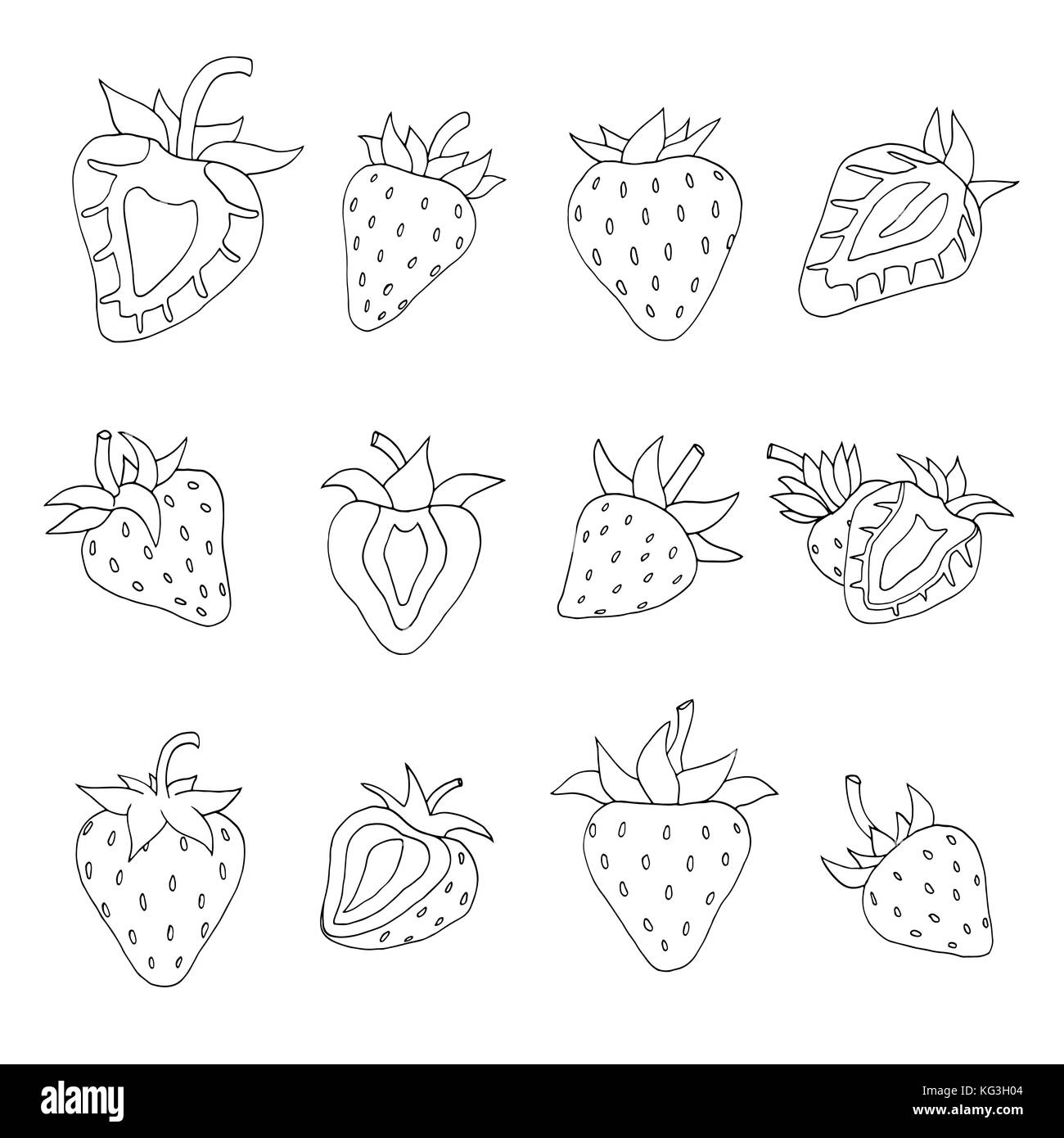 Strawberry set. Hand drawn with paints. Isolated elements. Vector Stock ...