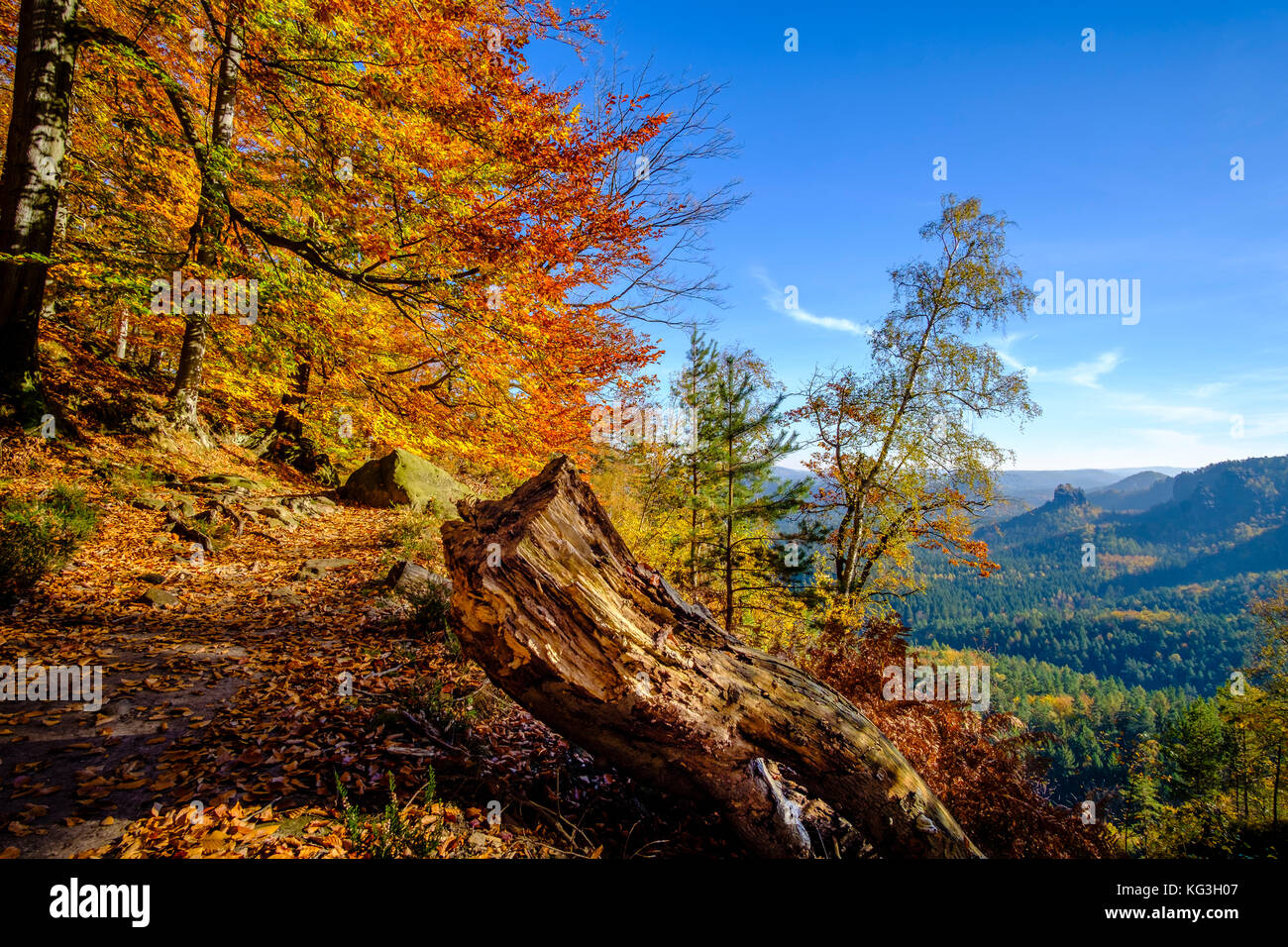 Landscape with colorful trees and rock formations in autumn Stock Photo ...
