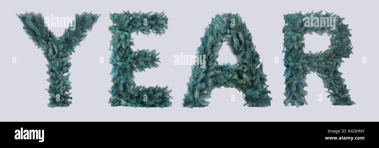 word year from fir-tree Stock Photo - Alamy