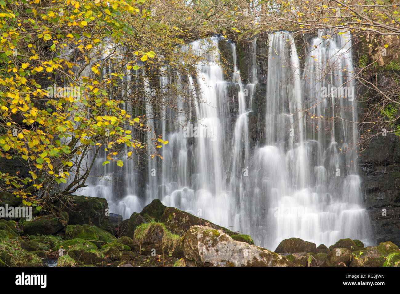 Scale Haw Force Waterfall near Hebden Grassington Wharfedale Yorkshire ...