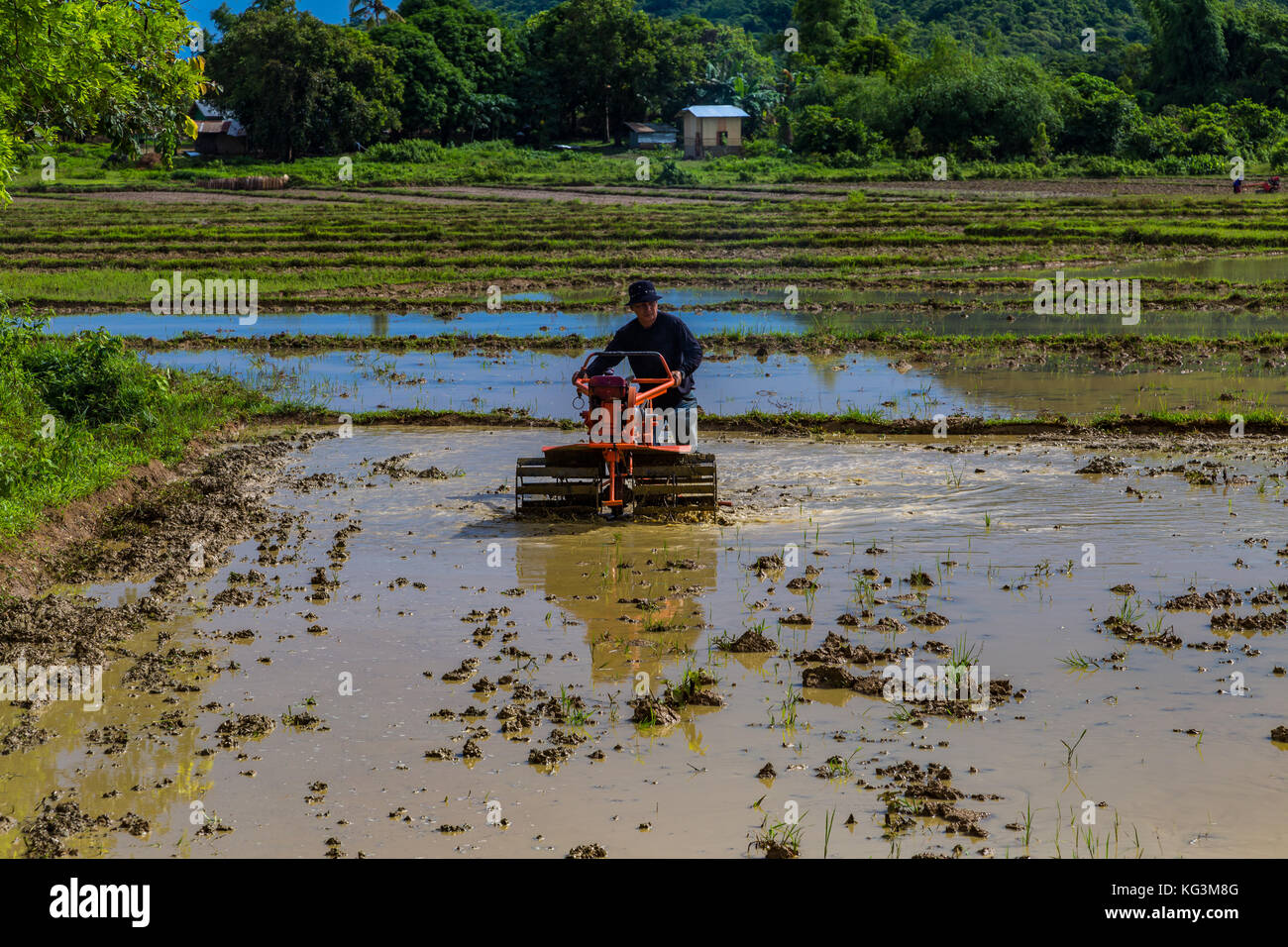 Asia Philippines Palawan El Nido Farmer preparing his rice fields for ...
