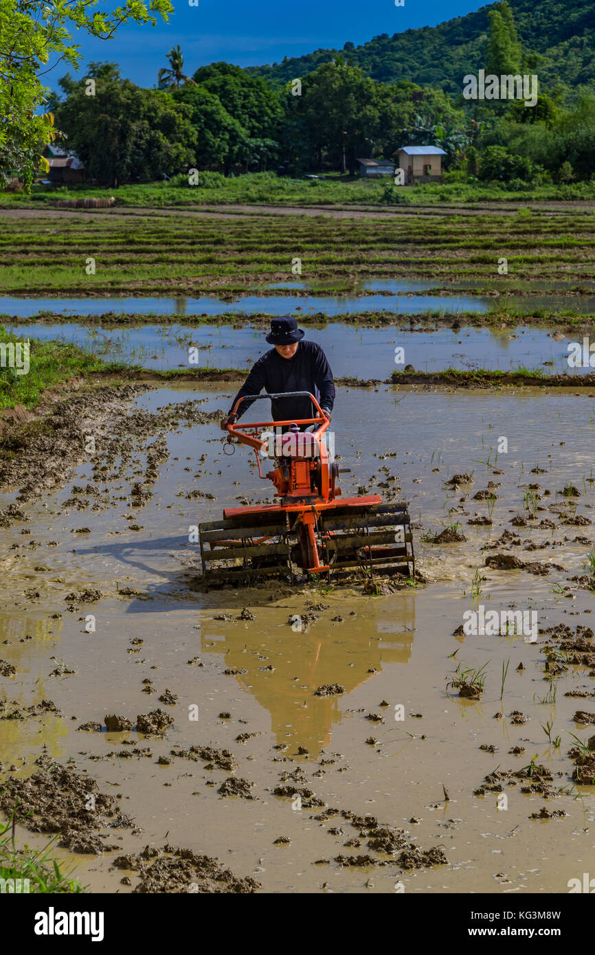 Asia Philippines Palawan El Nido Farmer preparing his rice fields for ...