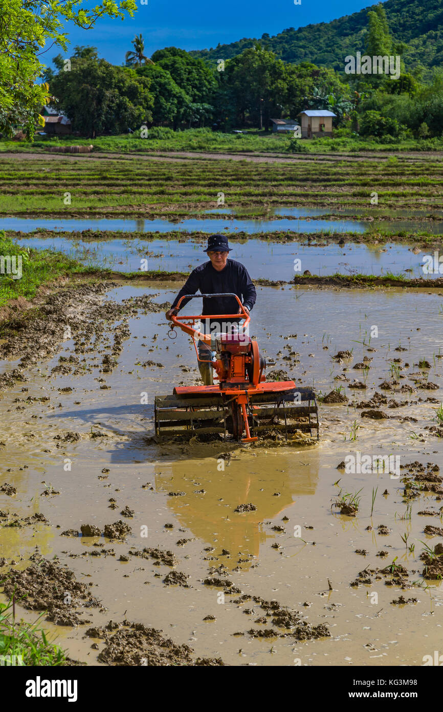 Asia Philippines Palawan El Nido Farmer preparing his rice fields for ...