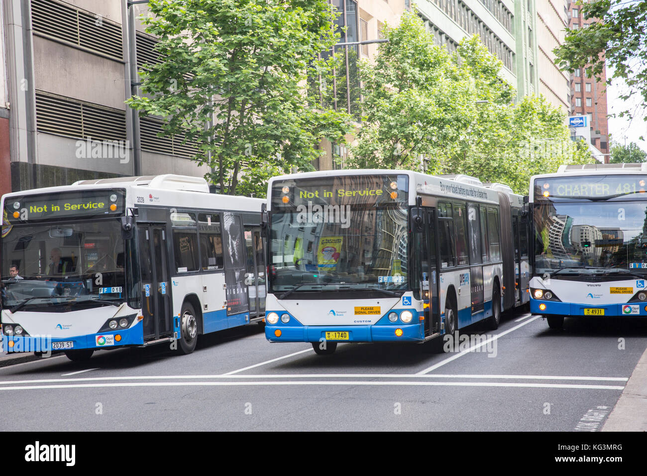 Sydney bus buses in York street,Sydney,Australia Stock Photo - Alamy