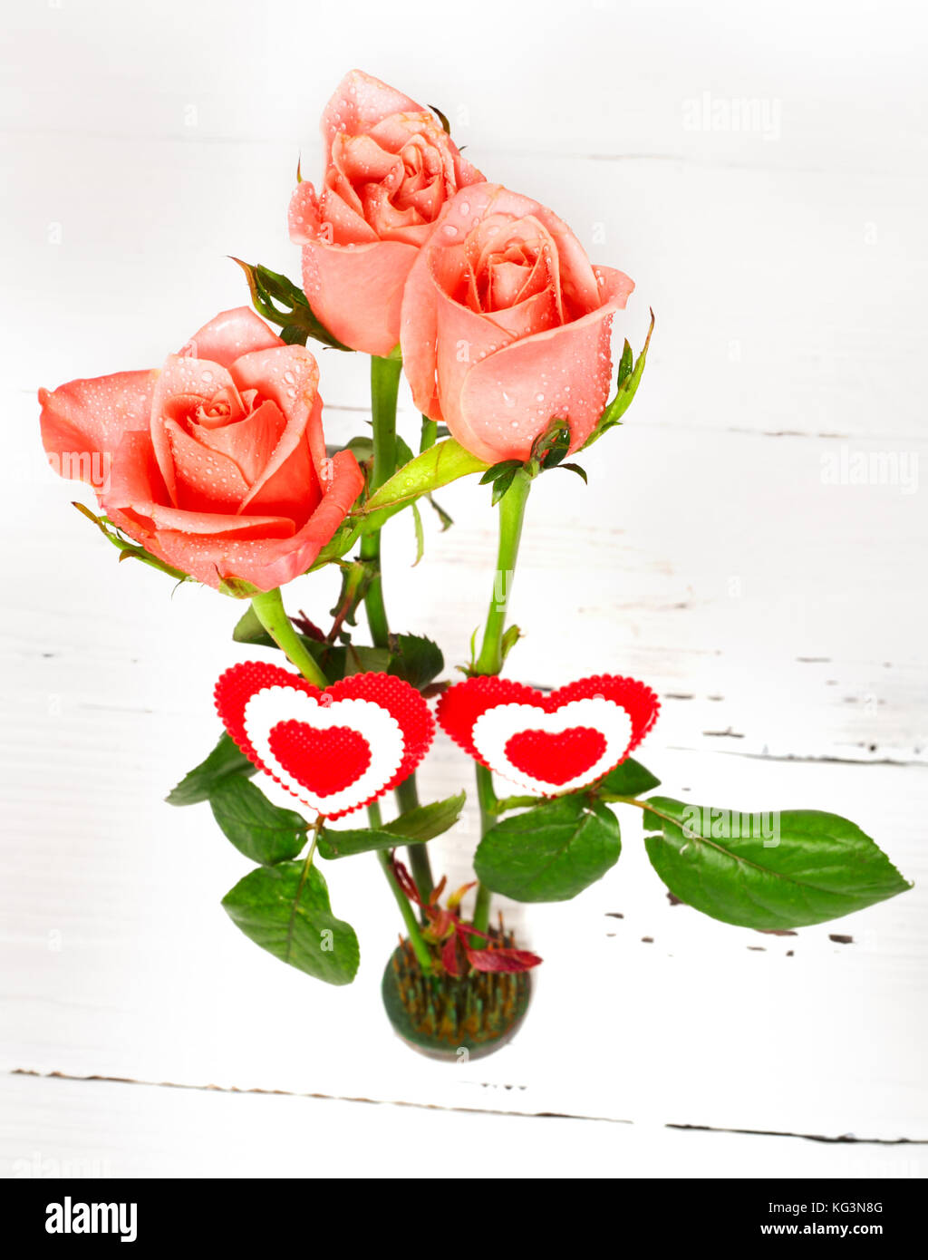 Pink roses and two hearts on a white background. Three pink roses with ...