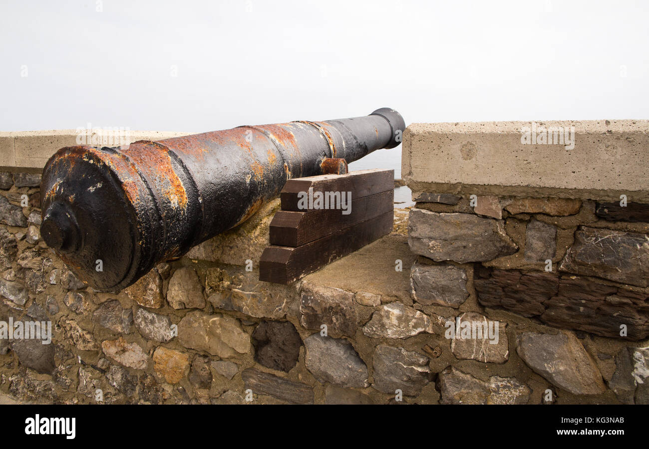 Ancient guns on a fortress wall. Guns are covered with a rust ...