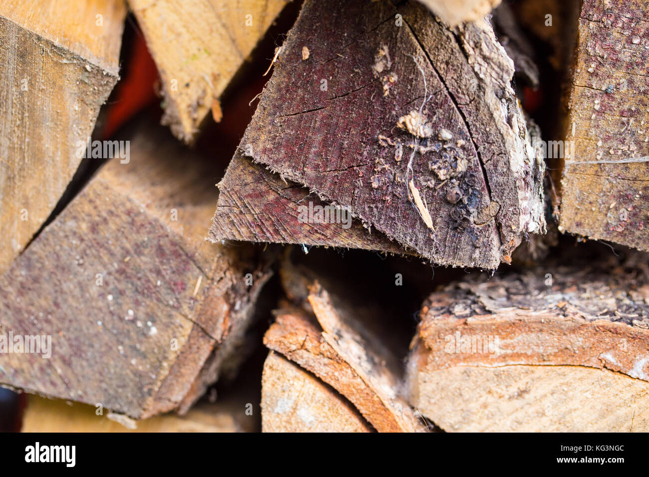 End face of logs in a woodpile, firewood. A close up, small depth of ...