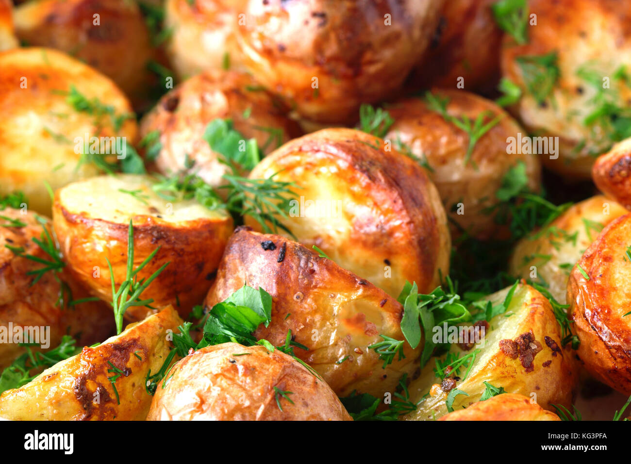 The toasted baked potato strewed with herbs. Fried crust, close up ...