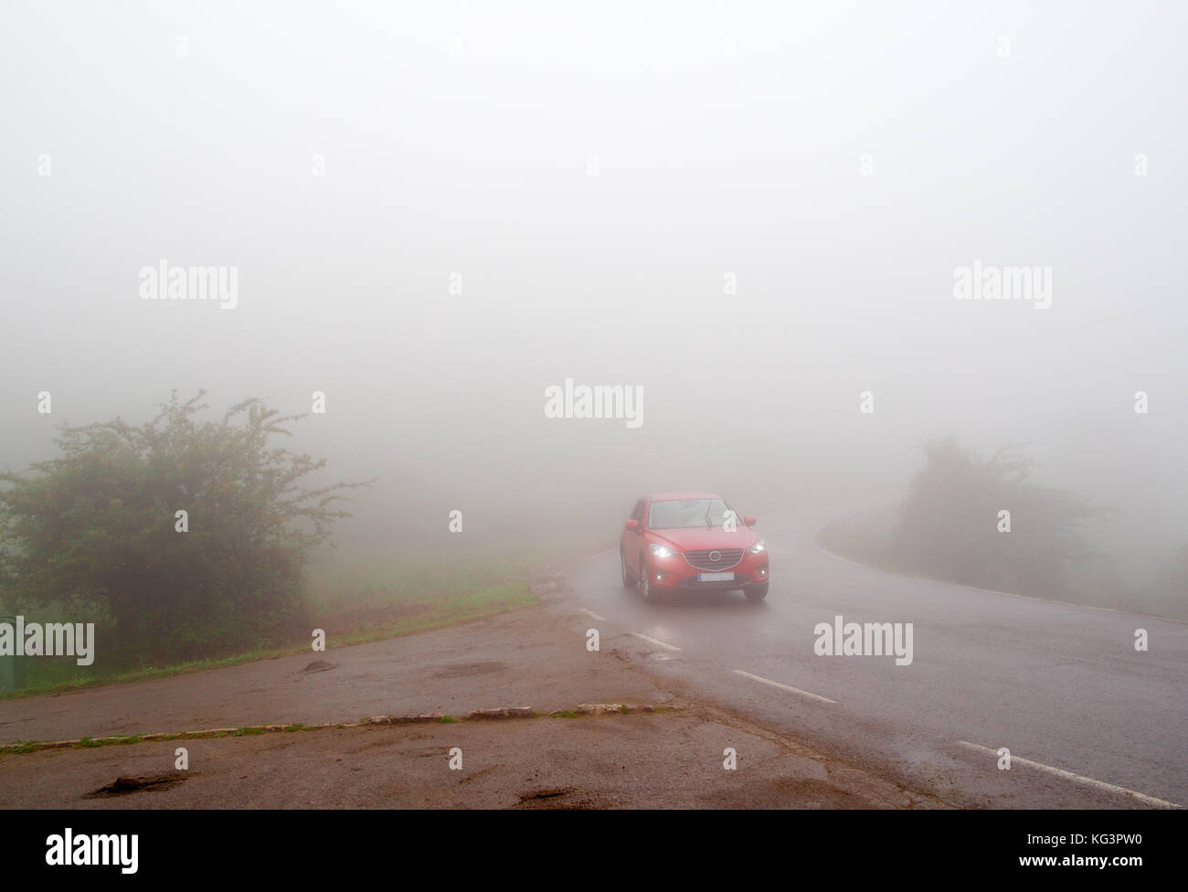 The car in dense fog. The red car goes on the twisting road in dense ...