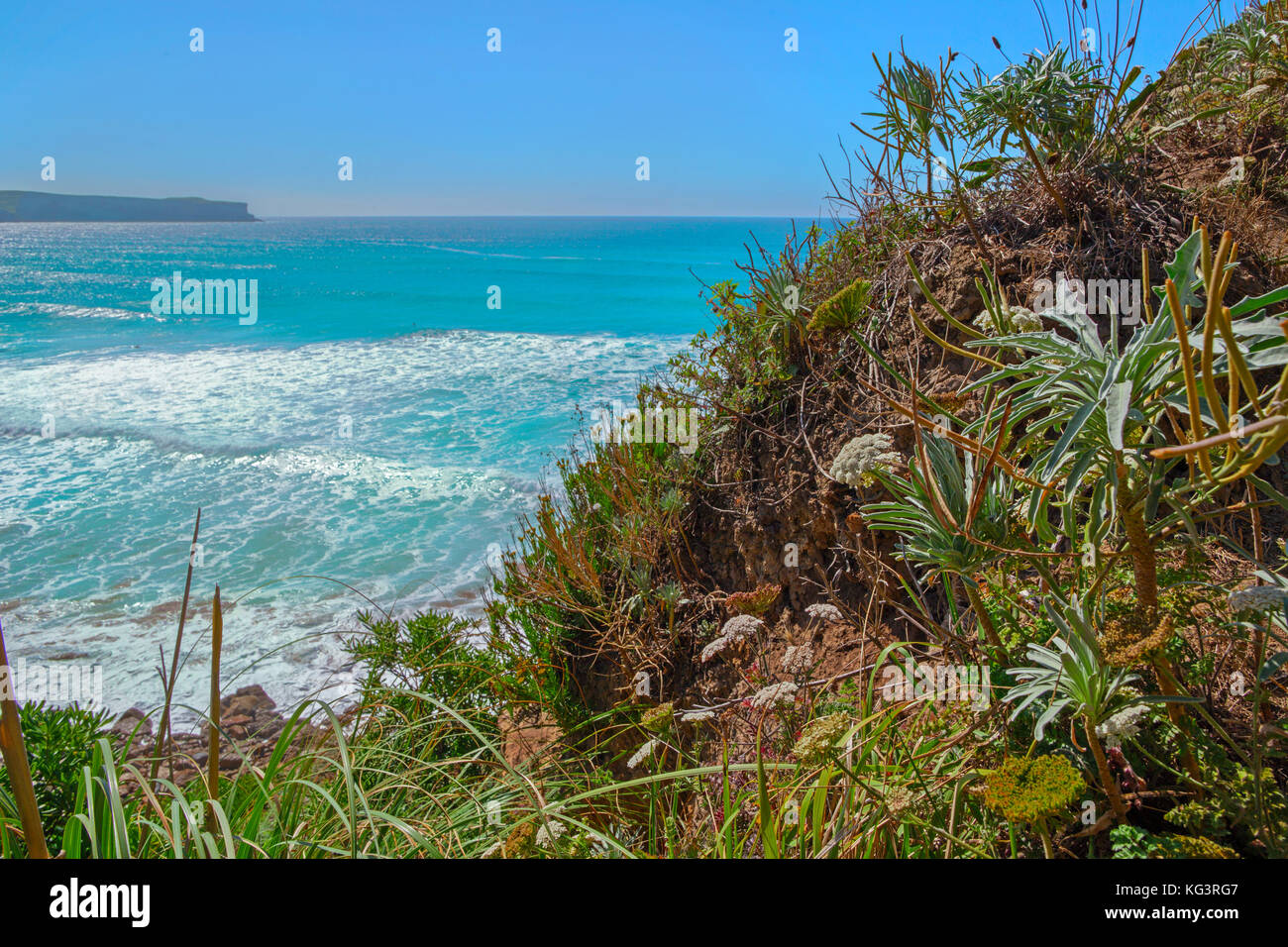 Steep slope on an ocean coast in the summer. Northern Spain, Cantabria ...