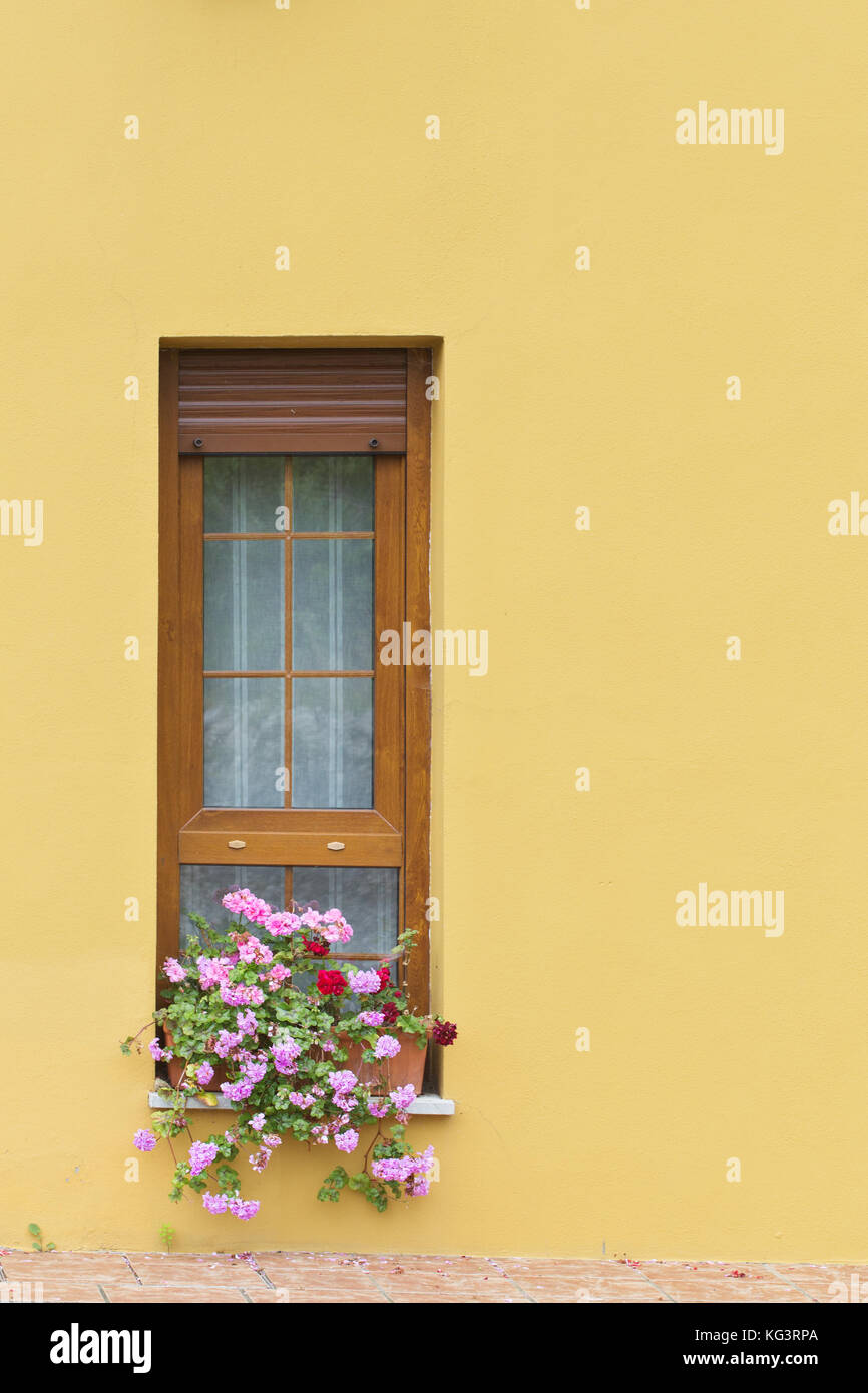 Window on a yellow wall. A window with a brown wooden frame and bright ...