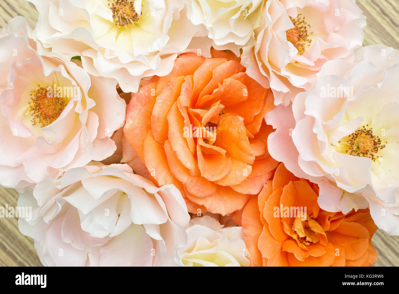 Pink and orange roses, flower bouquet. Flat lay, close up Stock Photo ...