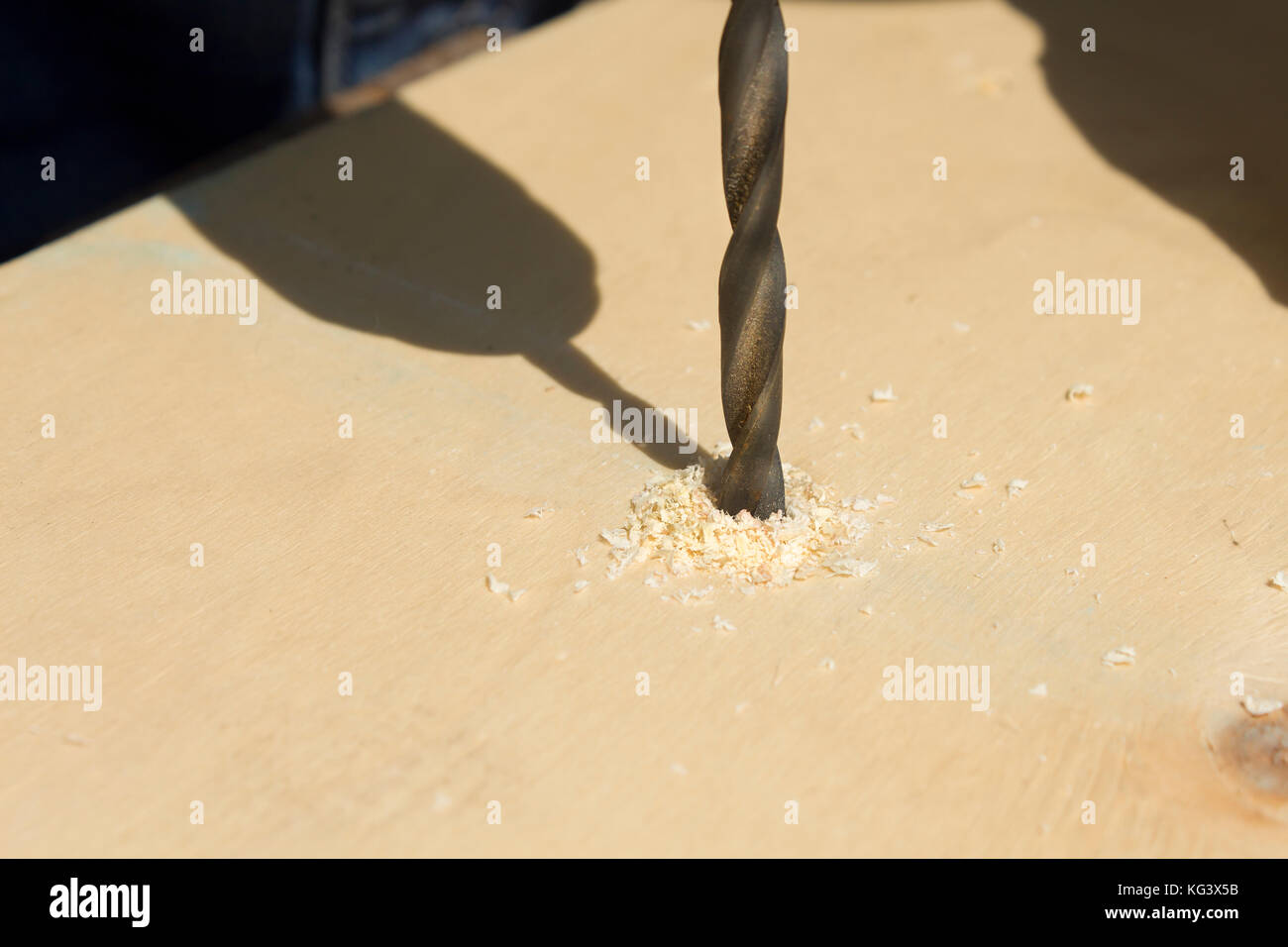 Wood drill bit. Drilling hole in board. The carpenter drills a hole in ...