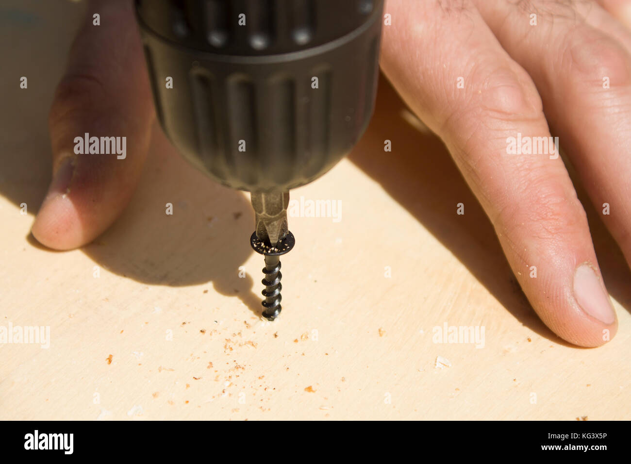 The carpenter screws with a screwdriver. The carpenter's hands screw ...