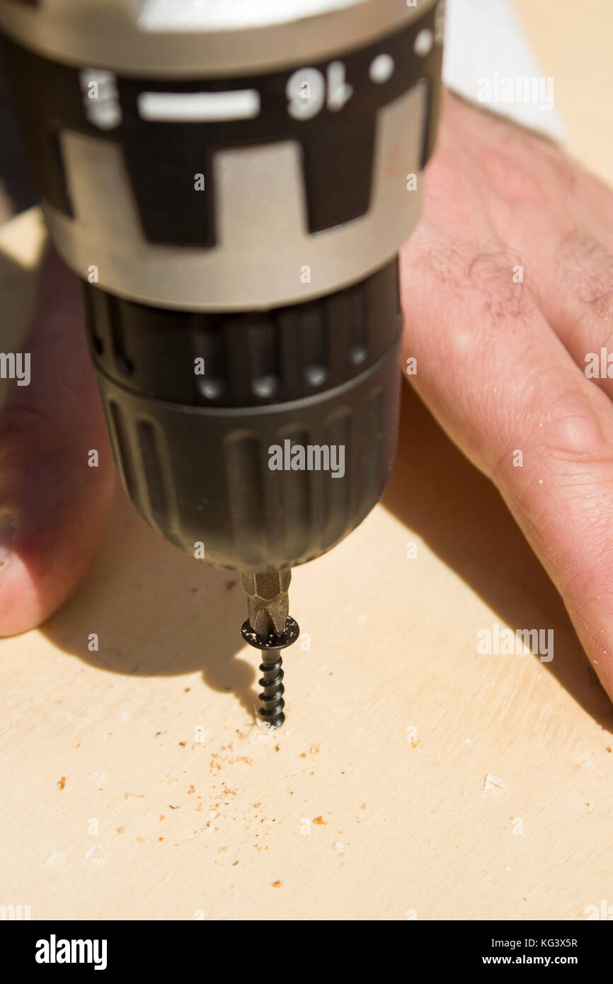 The carpenter screws with a screwdriver. The carpenter's hands screw ...