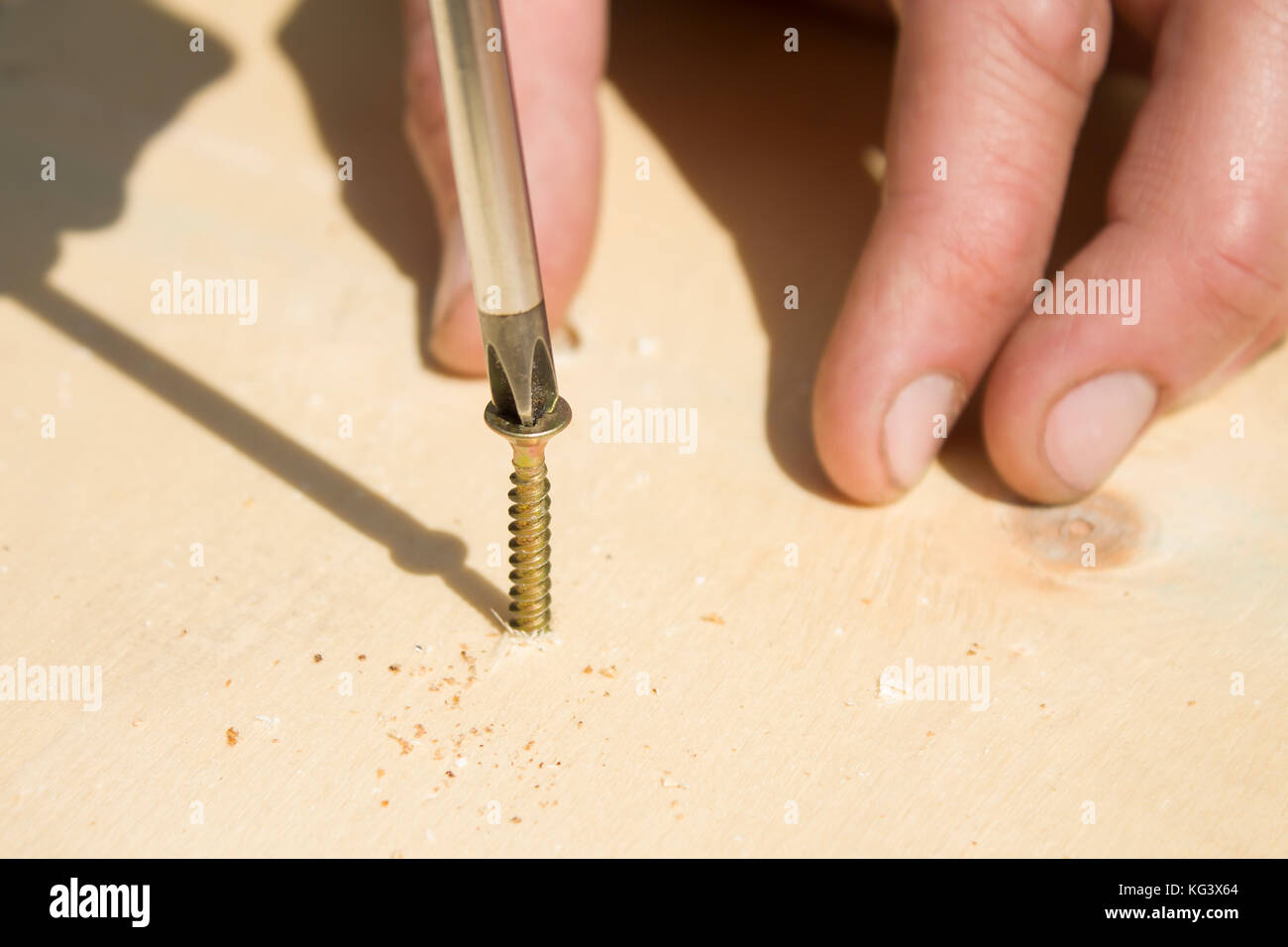 Worker's hands screw in the screw using a screwdriver. The carpenter ...
