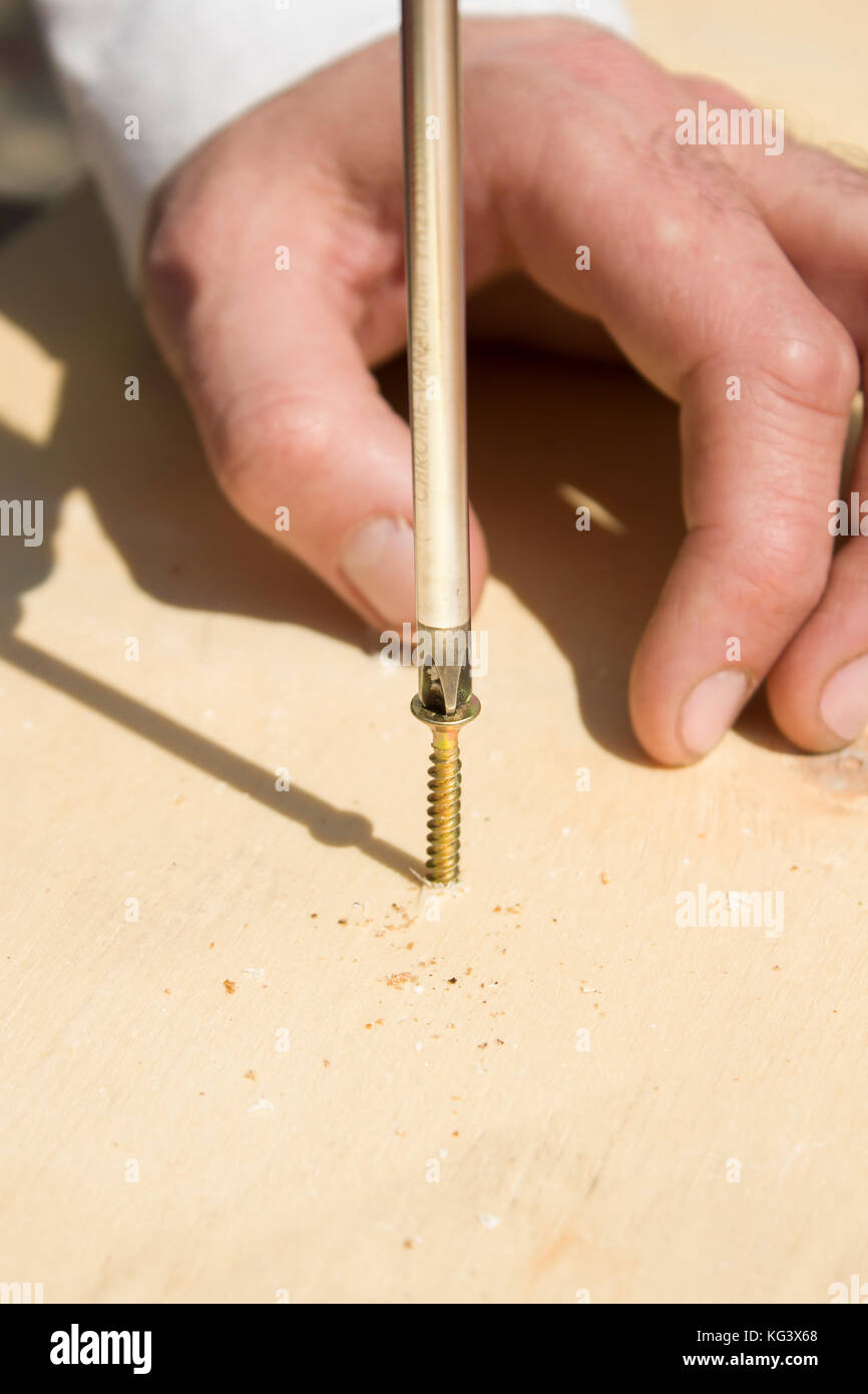 Worker's hands screw in the screw using a screwdriver. The carpenter ...